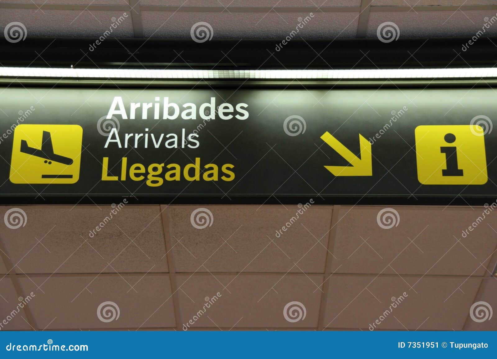 Muestra de las llegadas imagen de archivo. Imagen de muestra - 7351951