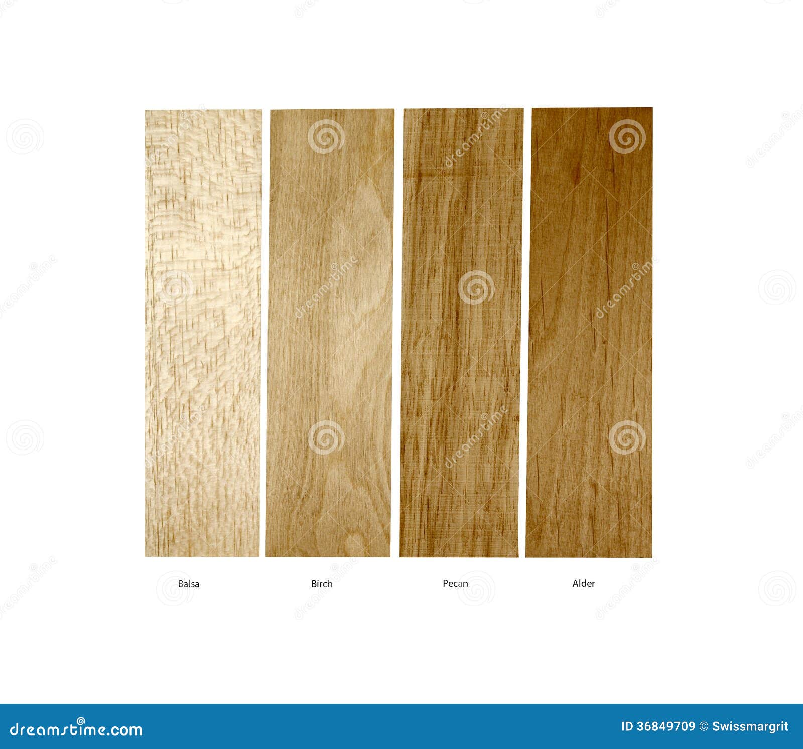 Muestras De Madera De Balsa, De Abedul, De Pacana Y De Aliso Imagen de ...