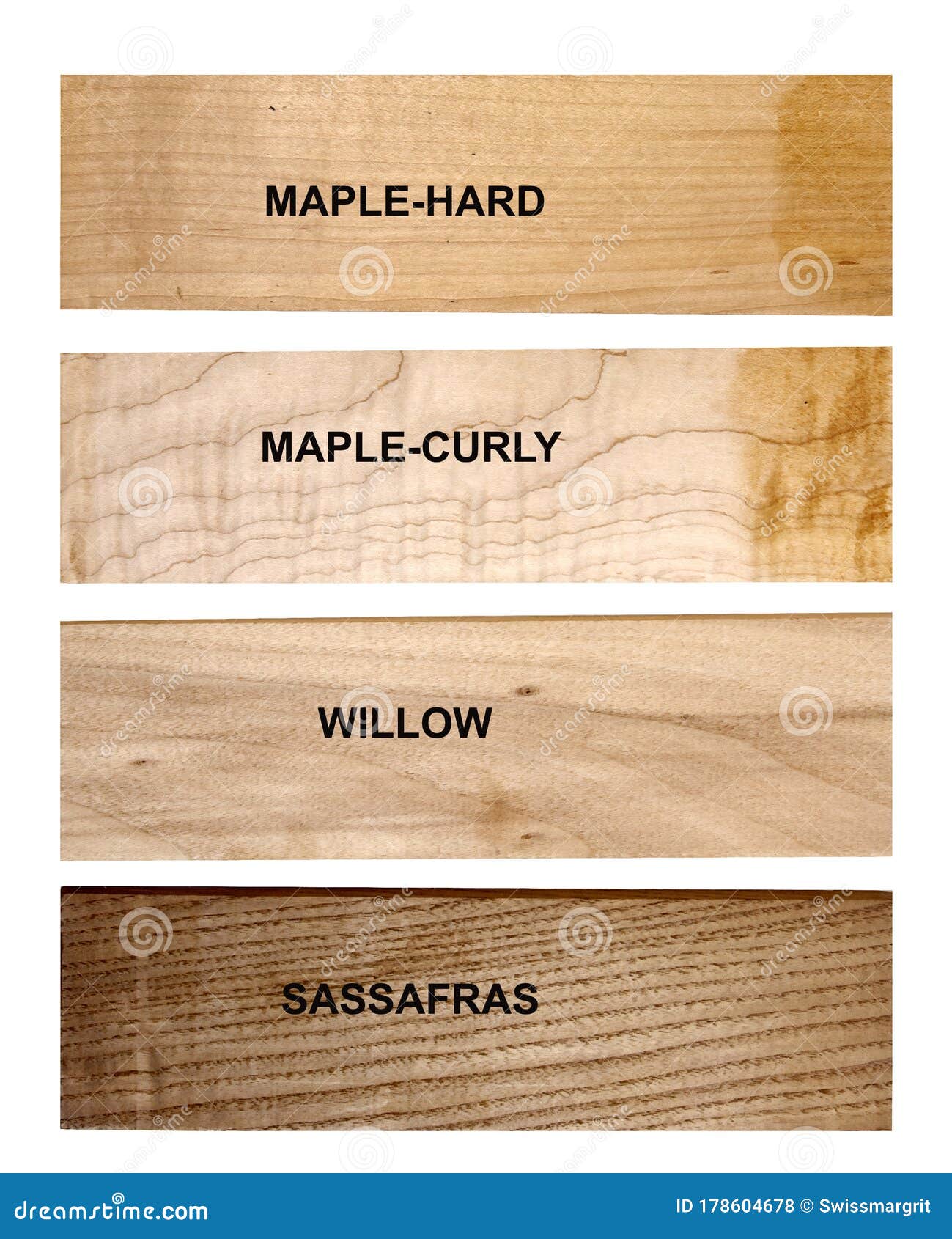 Muestras De Madera De Sauce Y Sassafras De Arce Foto de archivo ...