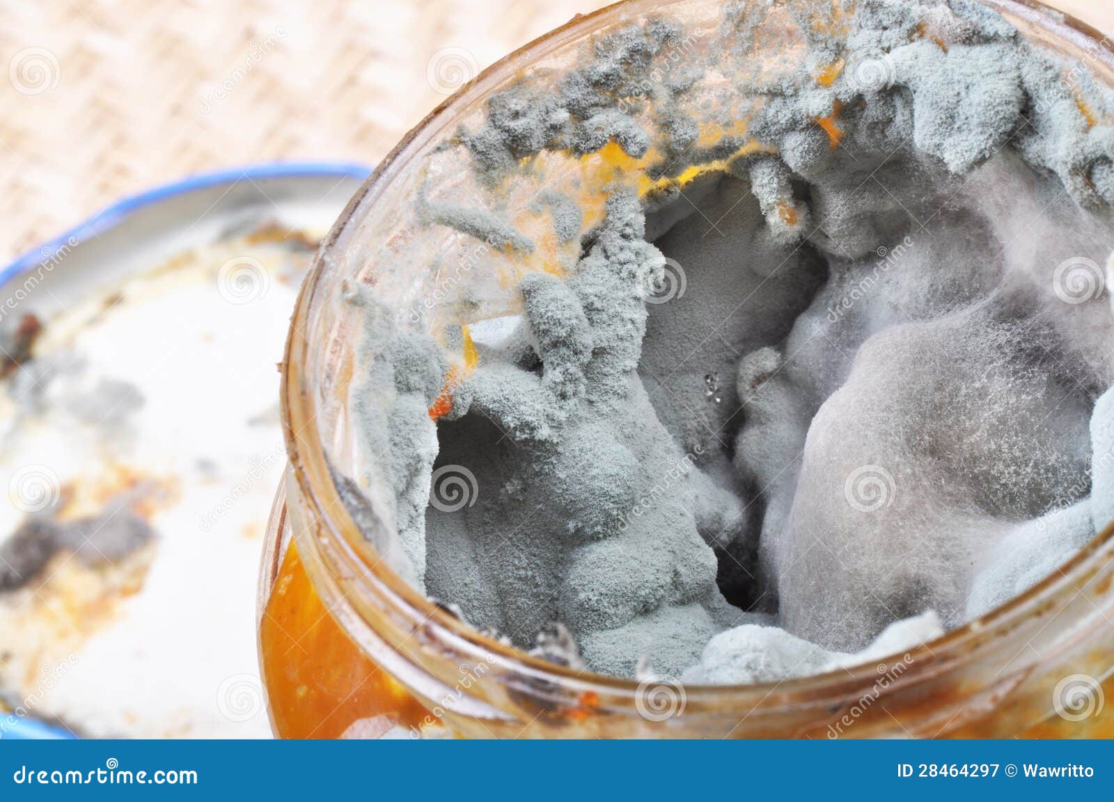 Muffa Che Cresce Su Un Alimento. Immagine Stock - Immagine di allergia ...