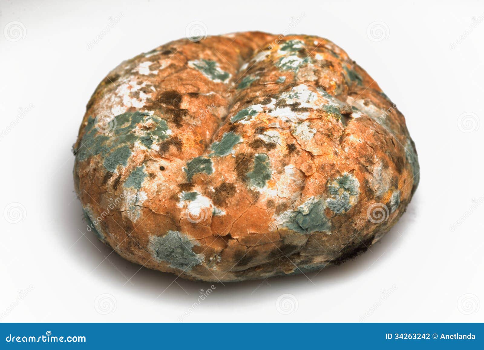 Muffa Che Cresce Sul Vecchio Pane Fotografia Stock - Immagine di micro ...