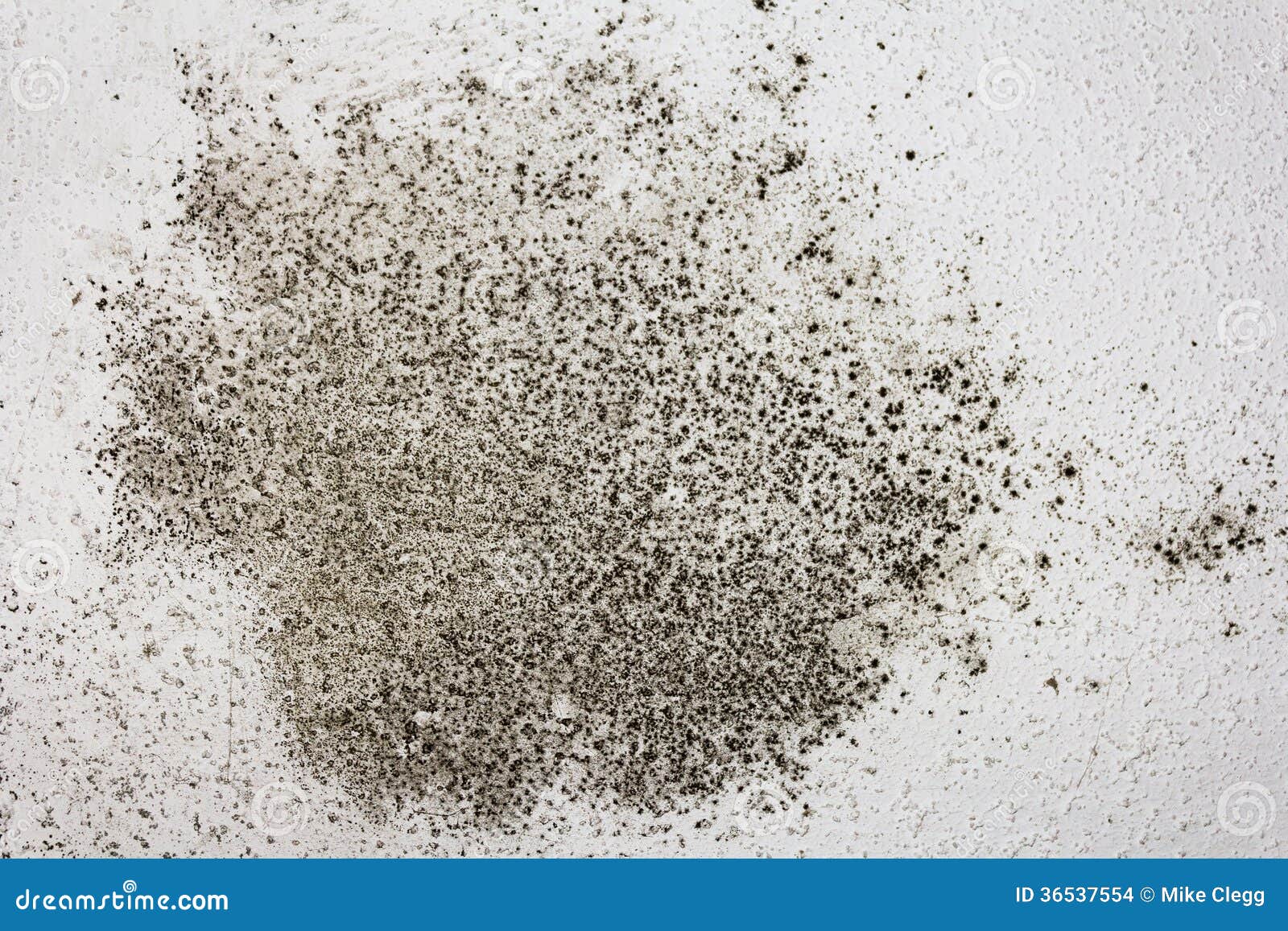 Muffa nera su un soffitto fotografia stock. Immagine di parete - 36537554