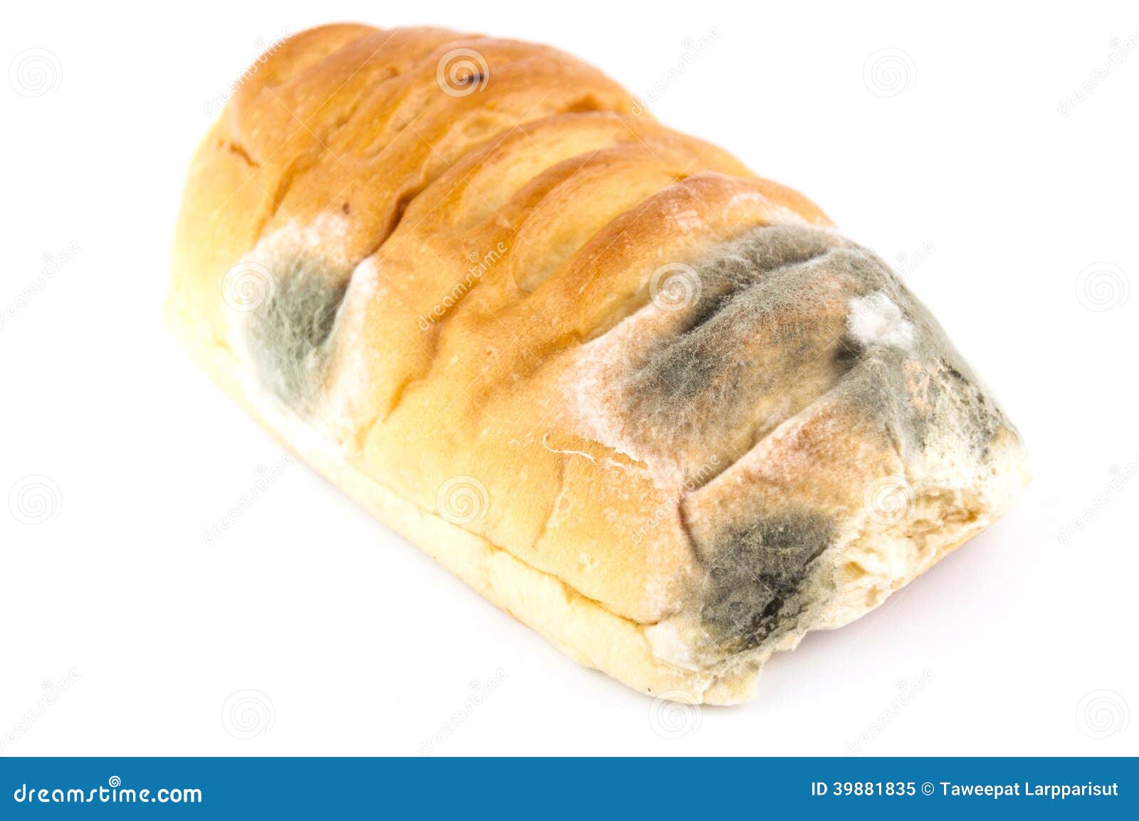 Muffa su pane immagine stock. Immagine di marcio, marrone - 39881835