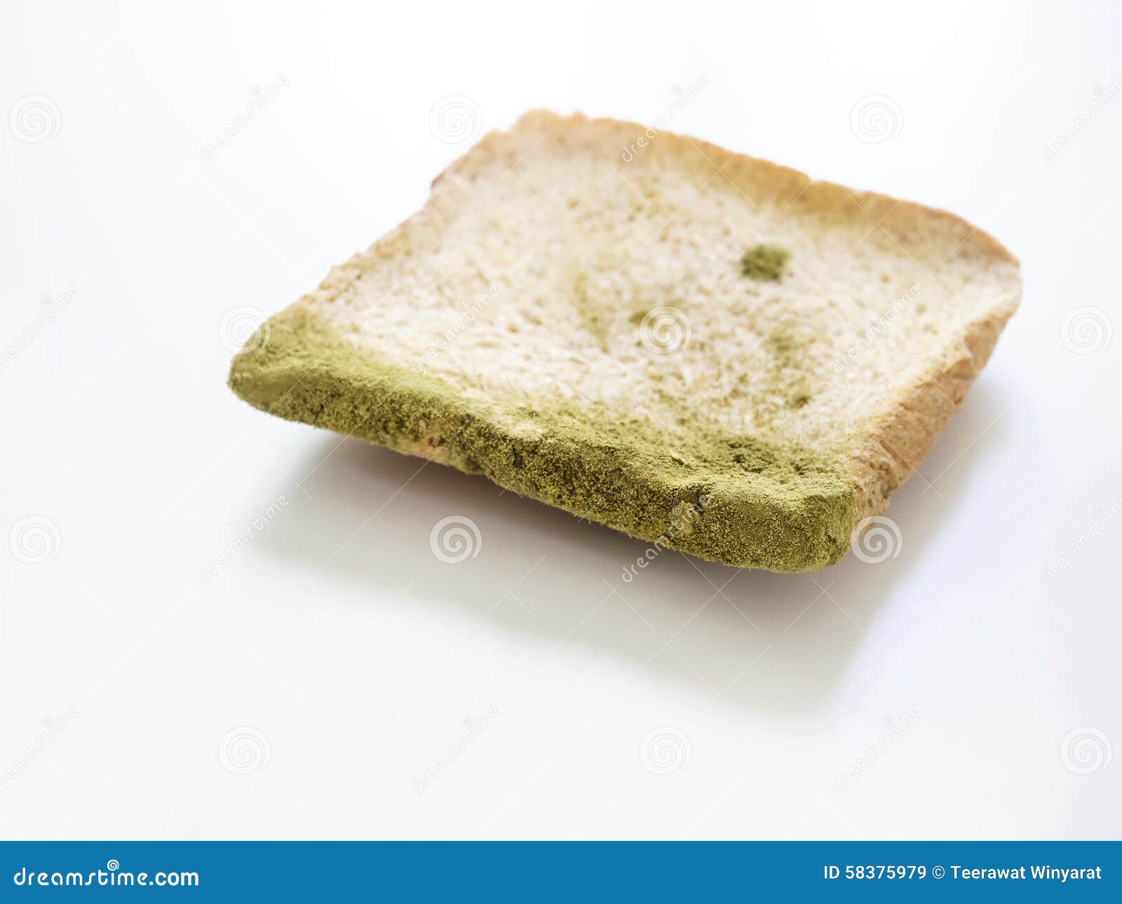 Muffa su pane isolato immagine stock. Immagine di macro - 58375979