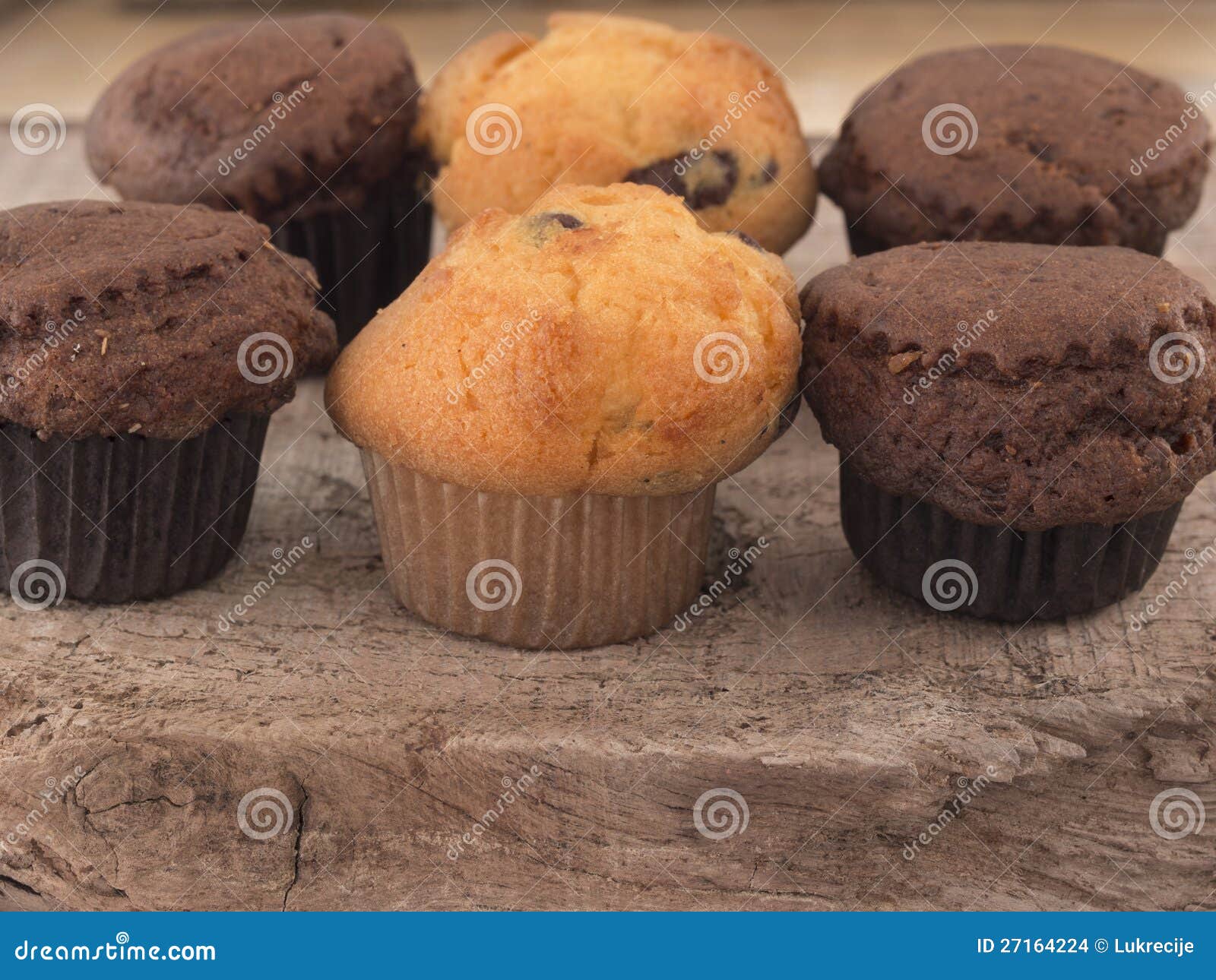 Muffins stock photo. Image of cake, flan, cupcake, fruitcake - 27164224