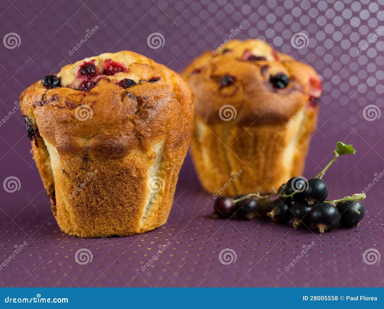 Muffins with Black Currants Stock Photo - Image of currants, cooking ...