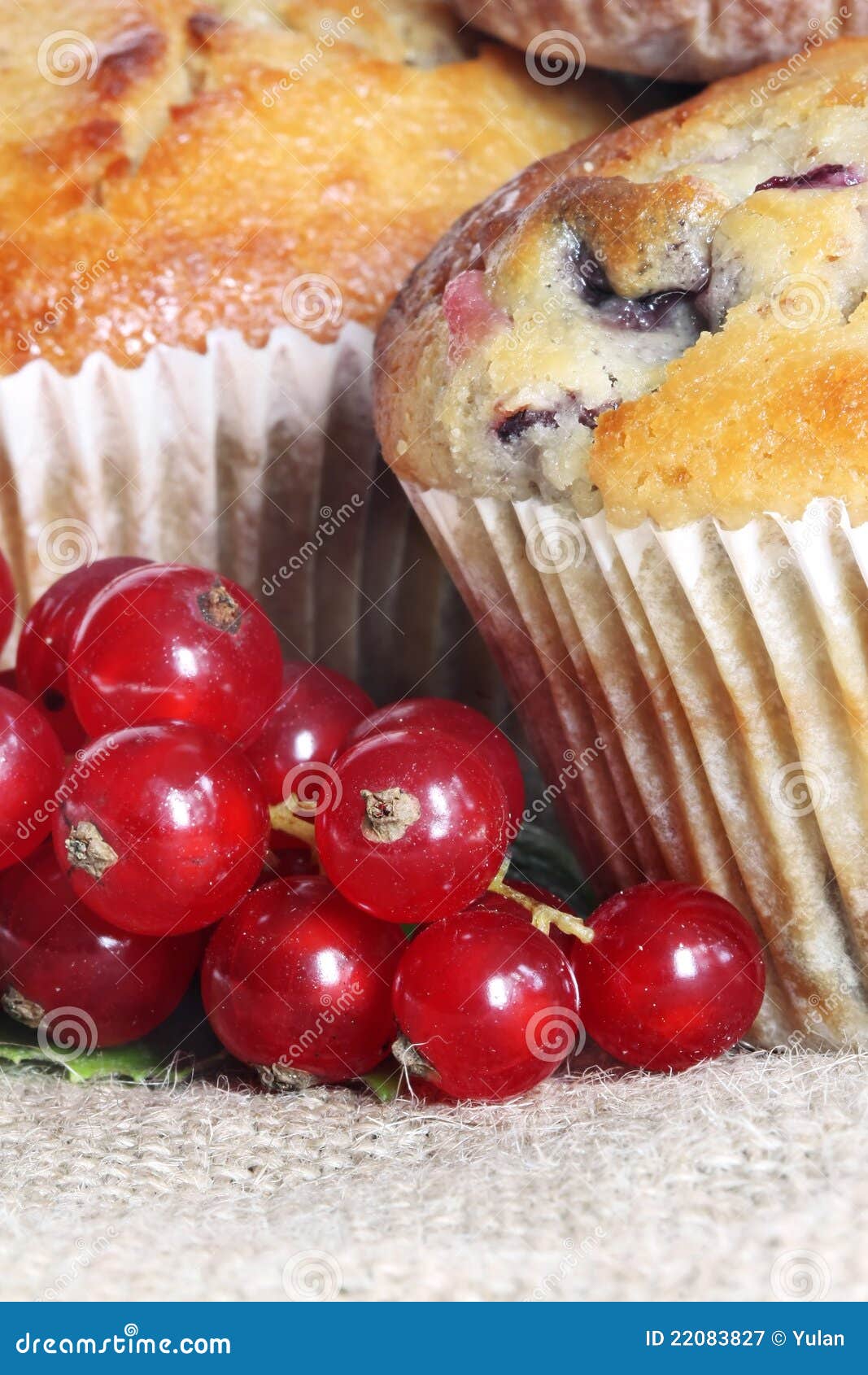 Muffins with red currants stock image. Image of linen - 22083827