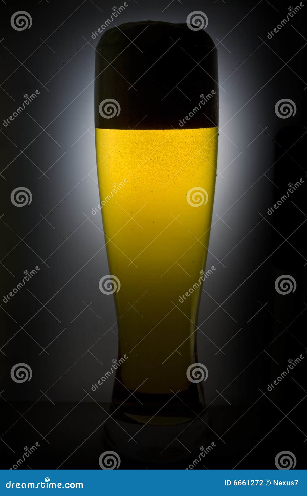 Mug of Beer Back Lit stock photo. Image of brewery, draft - 6661272