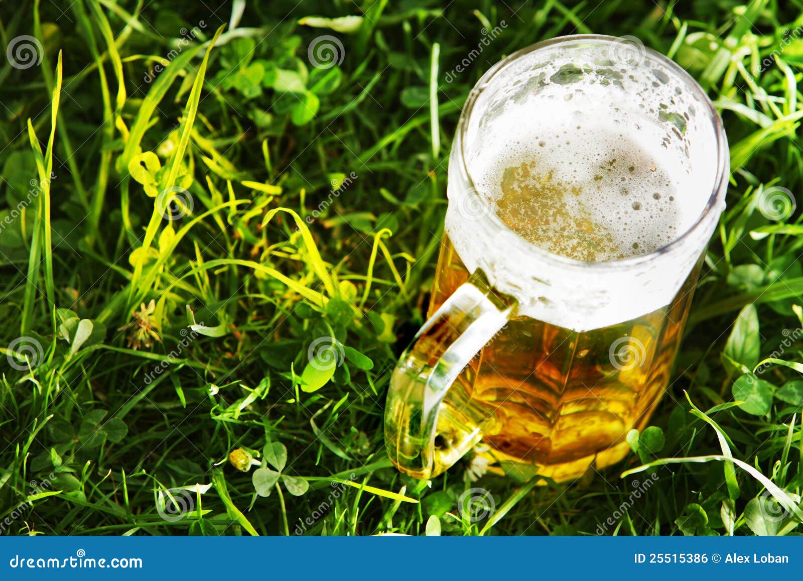 Mug of beer in green grass stock photo. Image of malt - 25515386