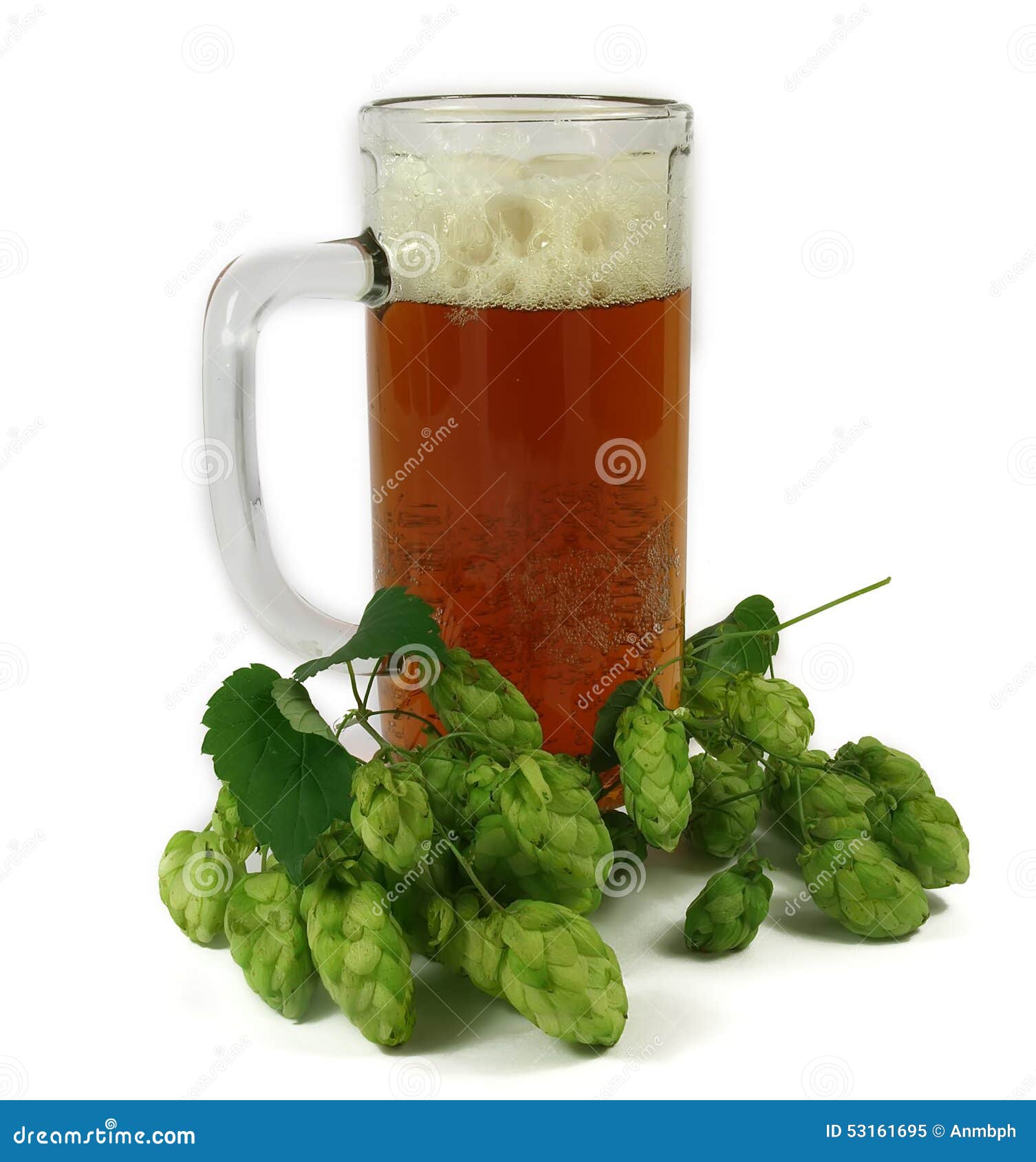 Mug of beer and hops stock image. Image of branch, leaves - 53161695