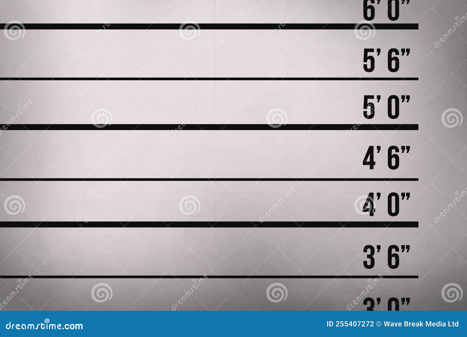 Mug shot background stock photo. Image of criminal, black - 255407272