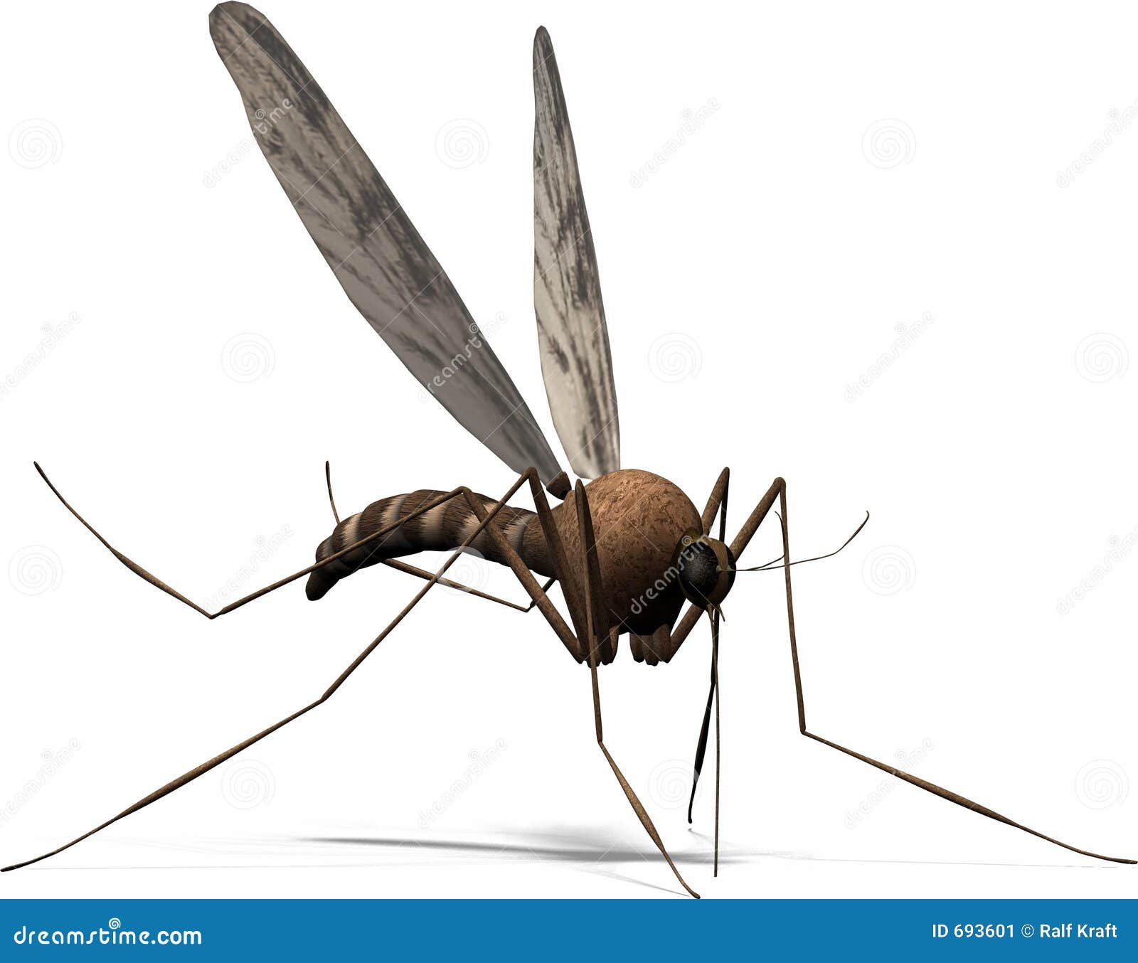 Muggy stock illustration. Illustration of moskito, muggy - 693601