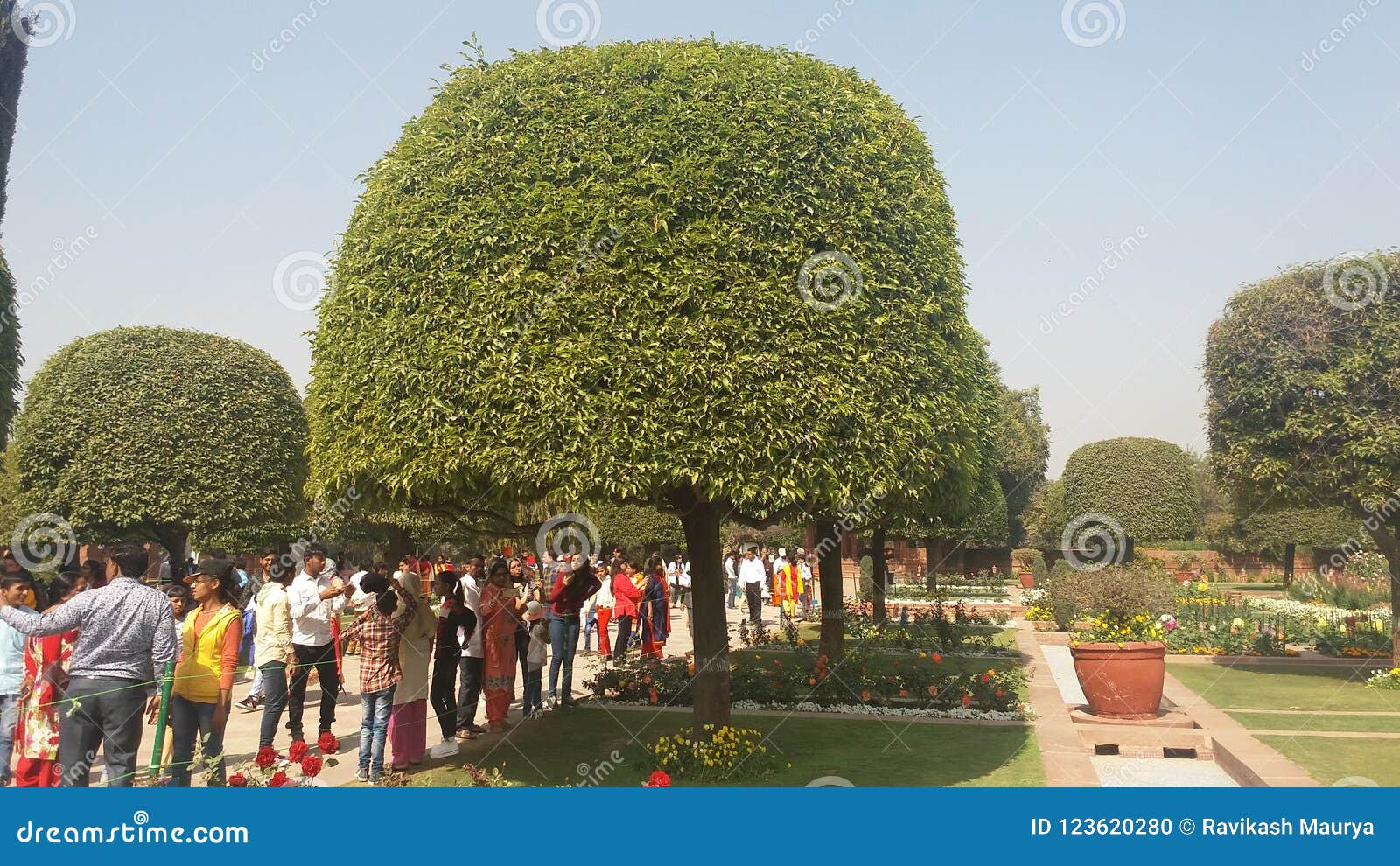 Mughal Garden, India editorial image. Image of tree - 123620280