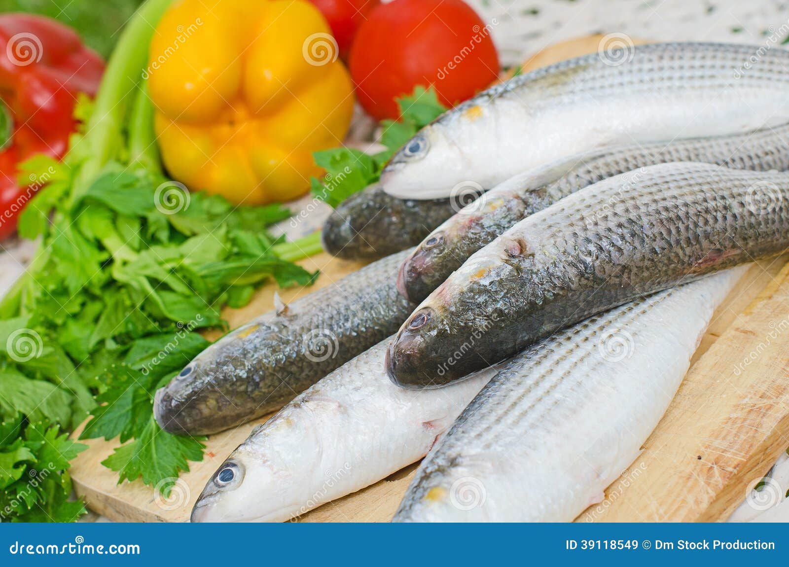 Mugil cephalus fish stock image. Image of fish, wooden - 39118549