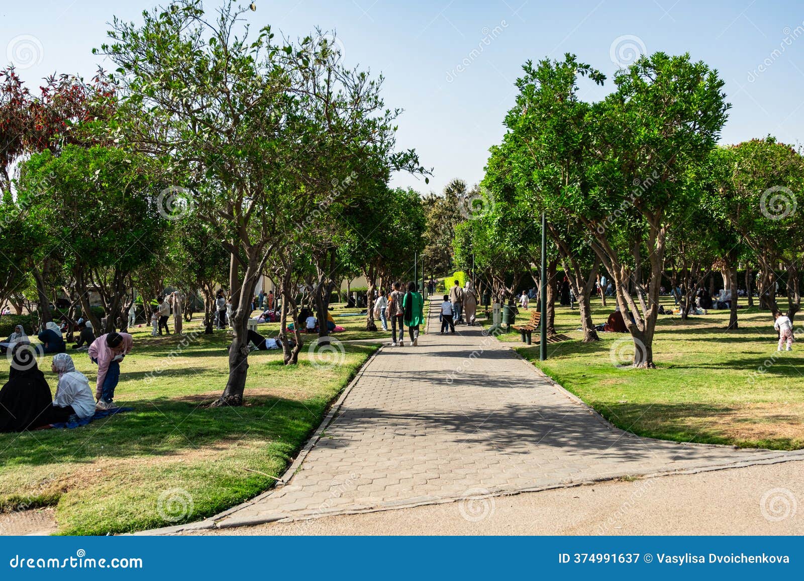 Al Azhar Park And Green Trees And Flowers And Wonderful Sky And Pure ...