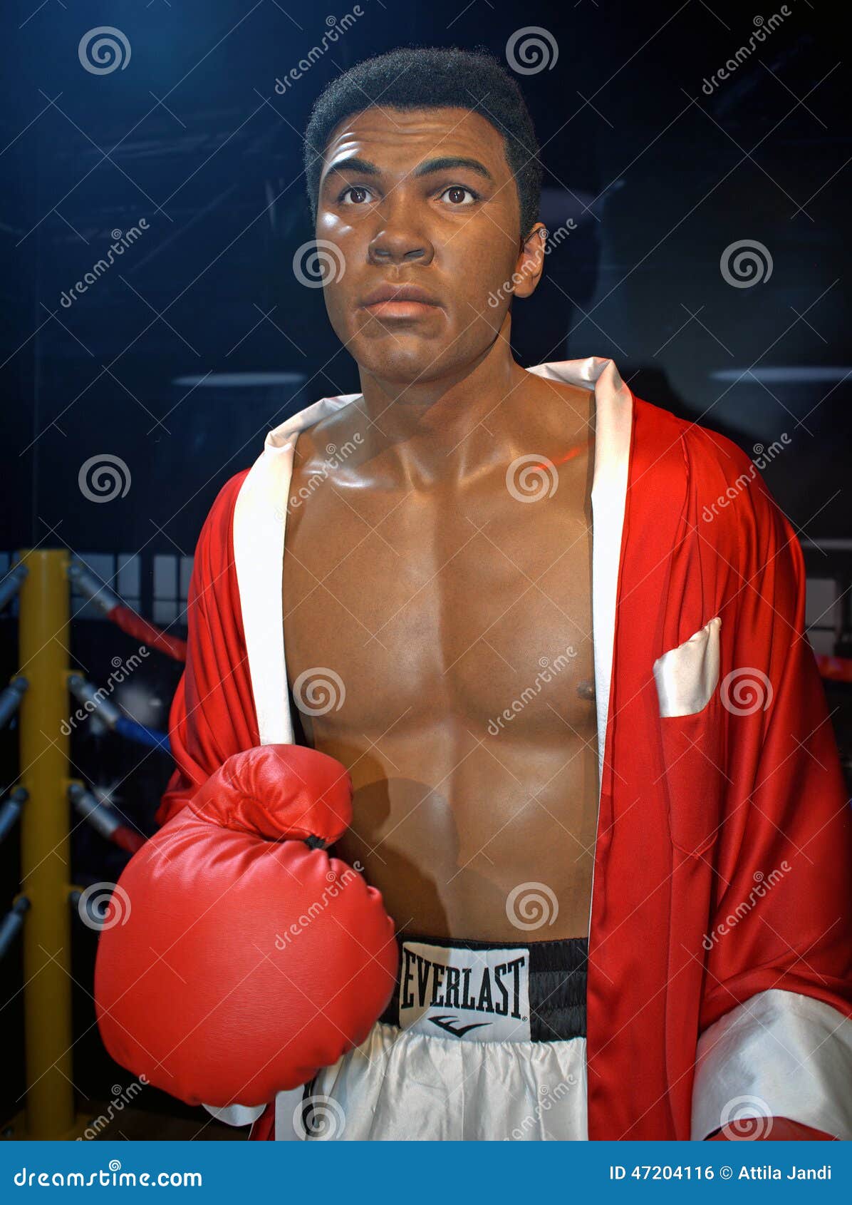 Muhammad Ali`s Boxing Gloves Editorial Photo | CartoonDealer.com #186814213