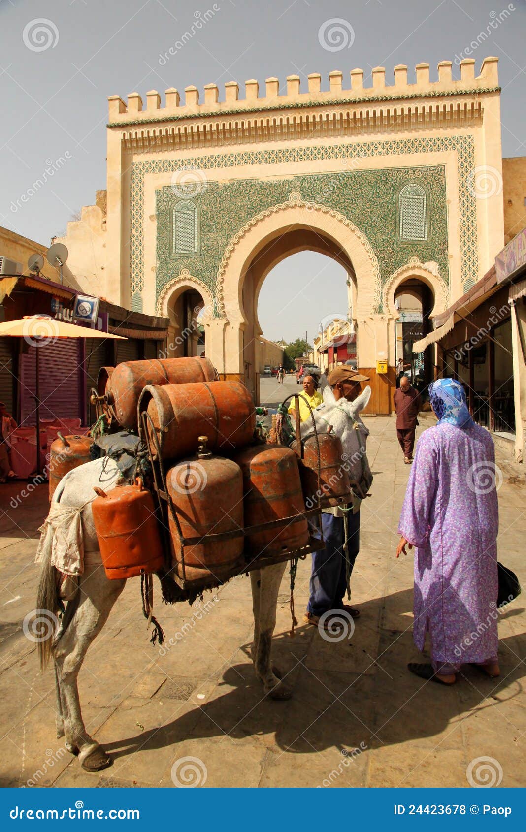Muilezel bij de poort redactionele stock foto. Image of cultuur - 24423678
