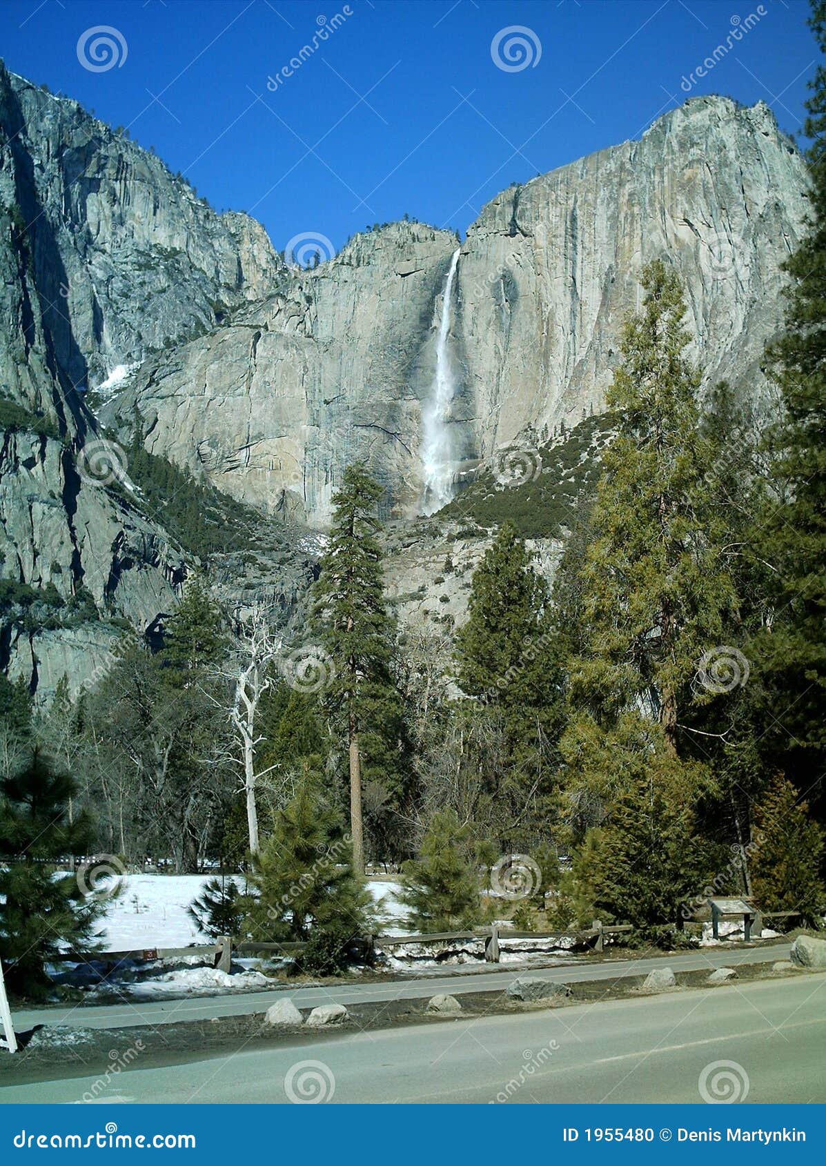 Muir Woods waterfall stock photo. Image of park, road - 1955480