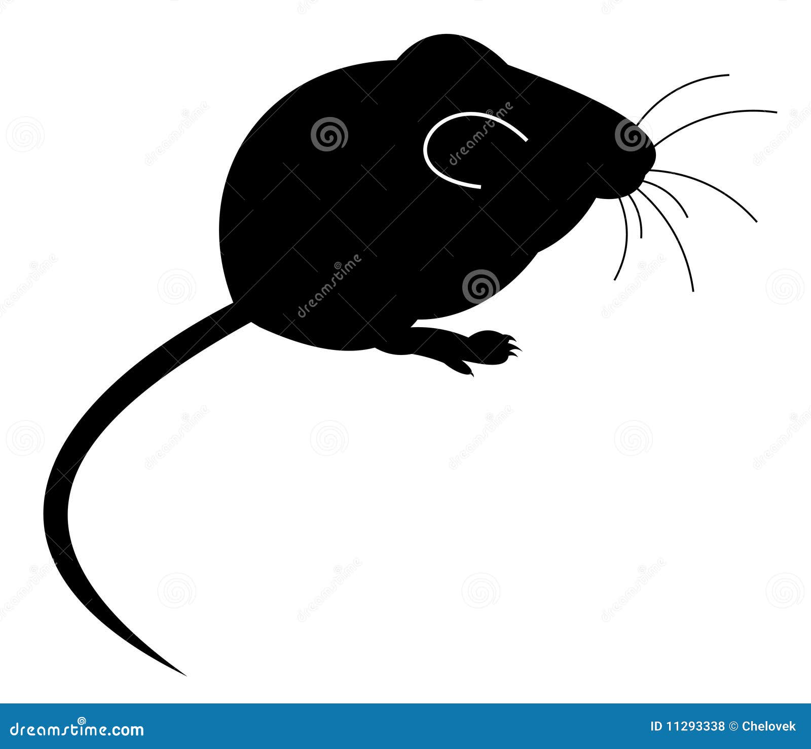Muis vector illustratie. Illustration of tekening, exemplaar - 11293338