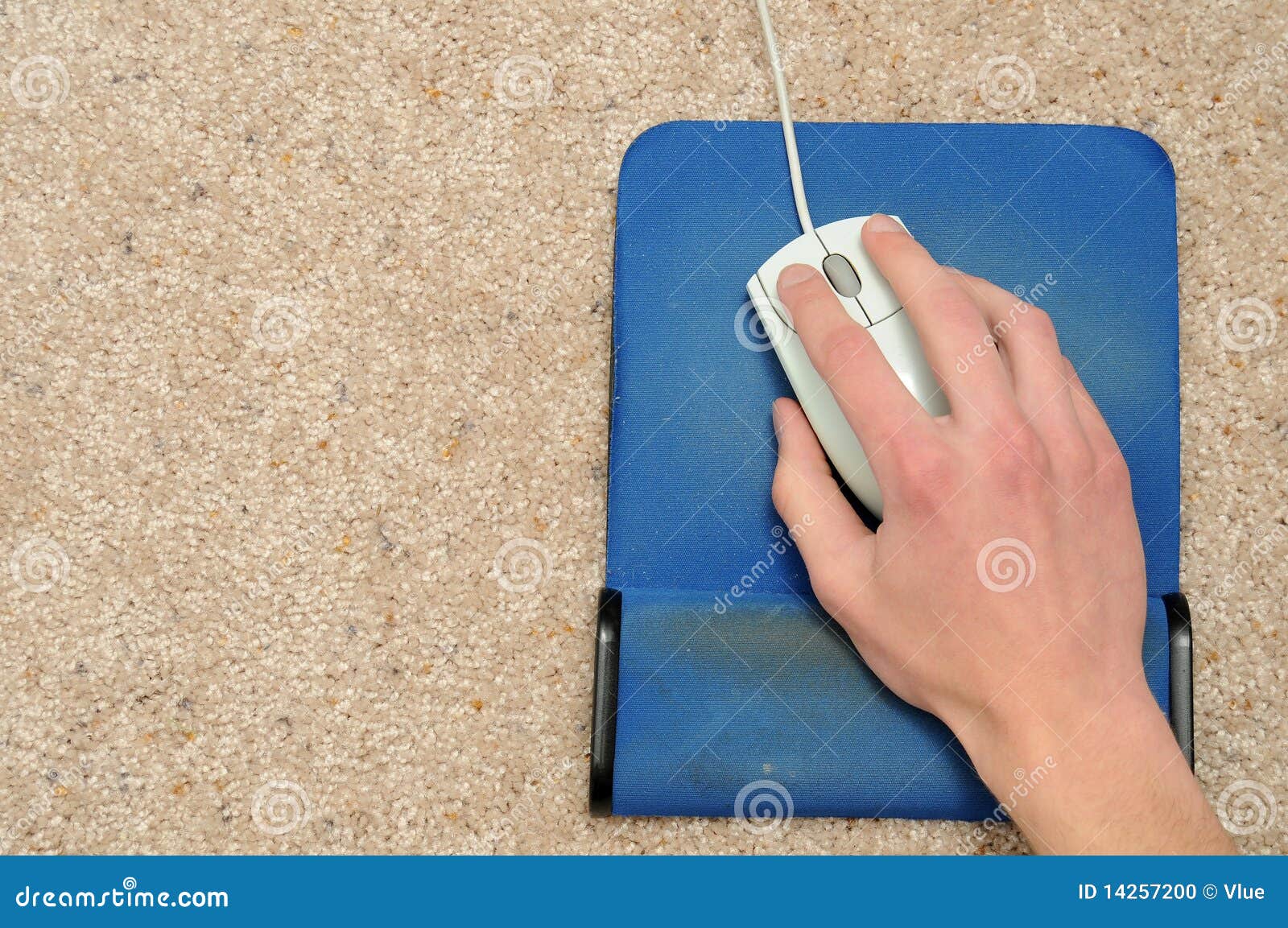 Muis met hand stock foto. Image of bladeren, muis, kaukasisch - 14257200