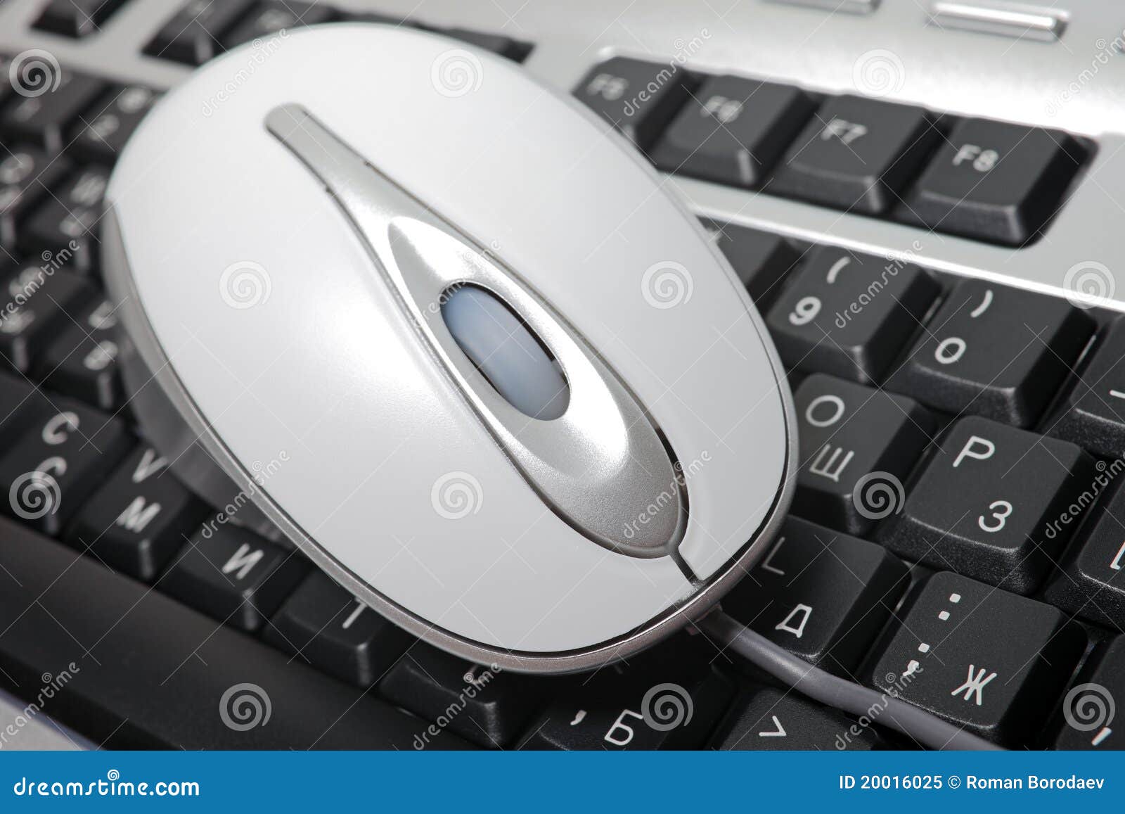 Muis op toetsenbord. stock afbeelding. Image of knoop - 20016025