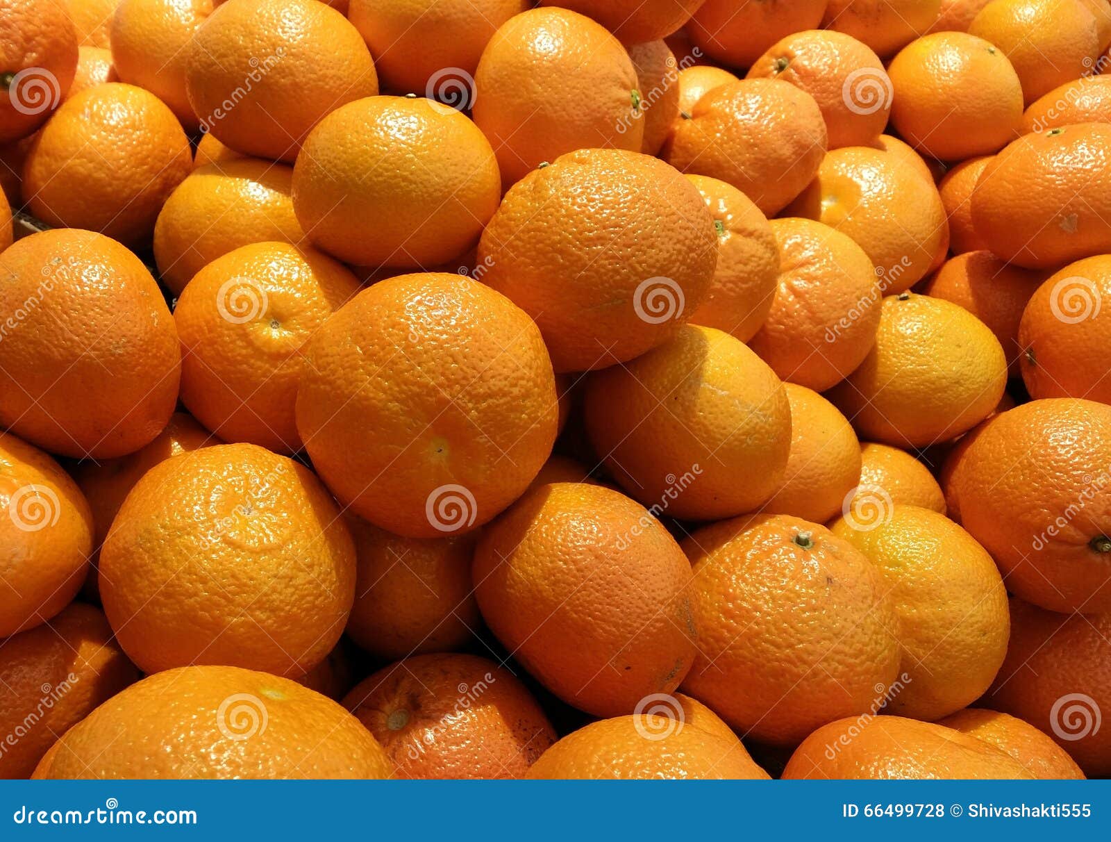 Muitas laranjas foto de stock. Imagem de suculento, pilha - 66499728