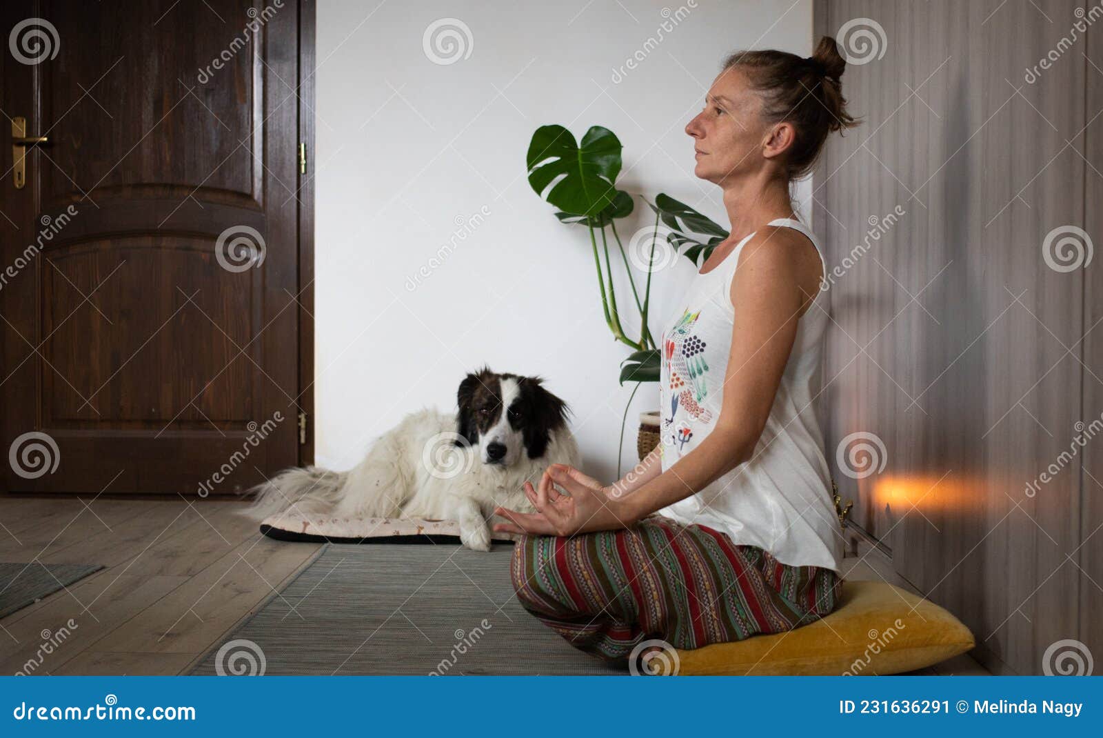Mujer Con Perro Meditando En Casa Imagen de archivo - Imagen de atleta ...