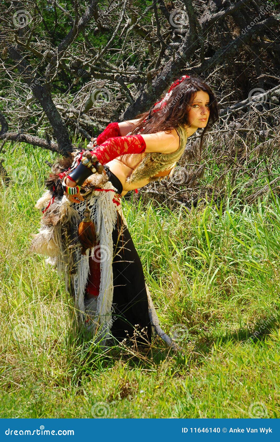 Mujer Gitana De La Manera Foto de archivo - Imagen: 11646140