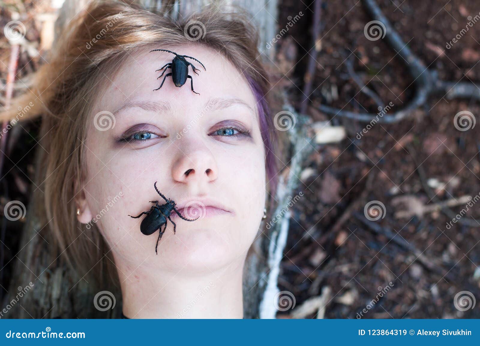 Mujer Joven Con Insectos En Cara Imagen de archivo - Imagen de humano ...