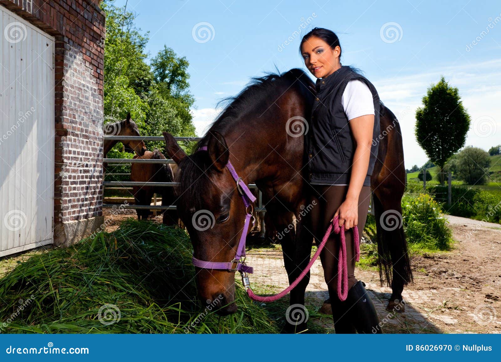 Mujer Joven En Rancho Del Caballo Foto de archivo - Imagen de deportes ...