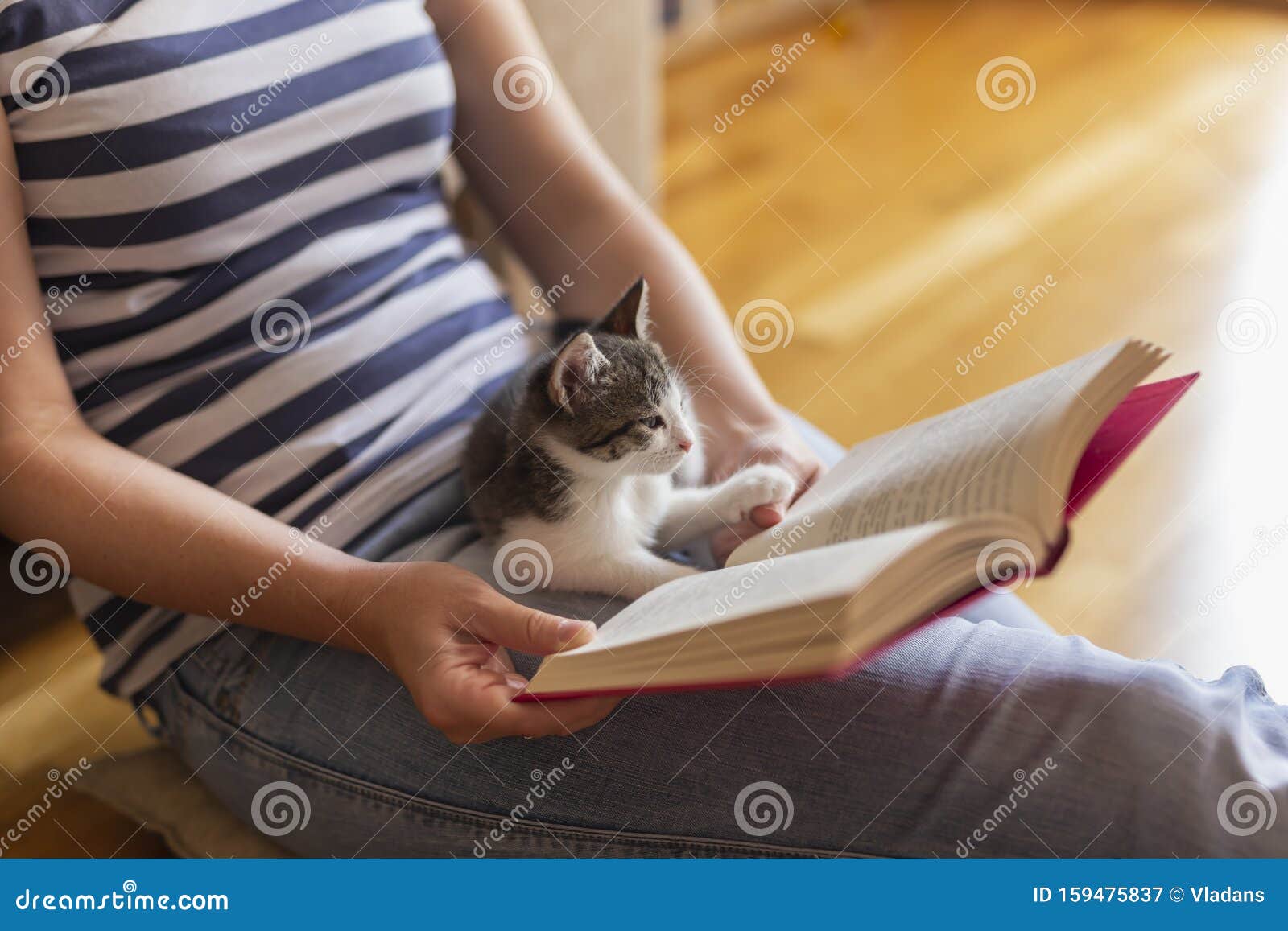 Mujer Leyendo Libro Y Abrazando Gatito Imagen de archivo - Imagen de ...