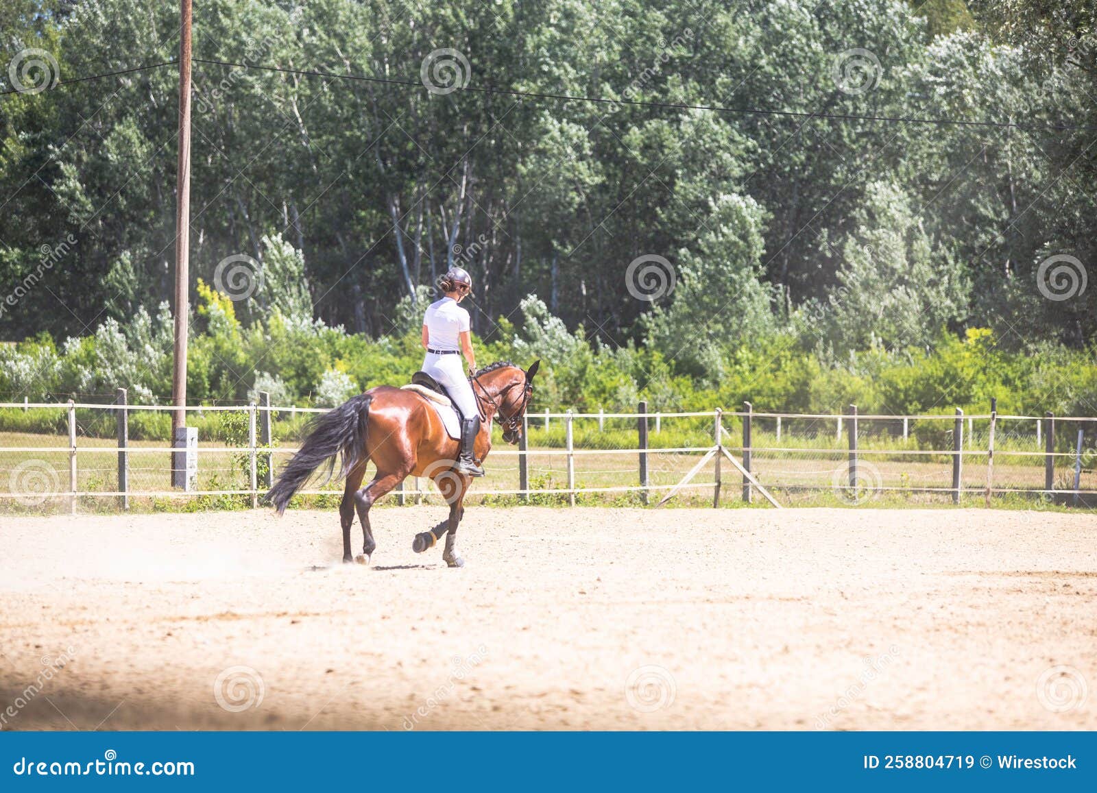 Mujer Montada En Un Caballo Practicando La Vestimenta Imagen de archivo ...