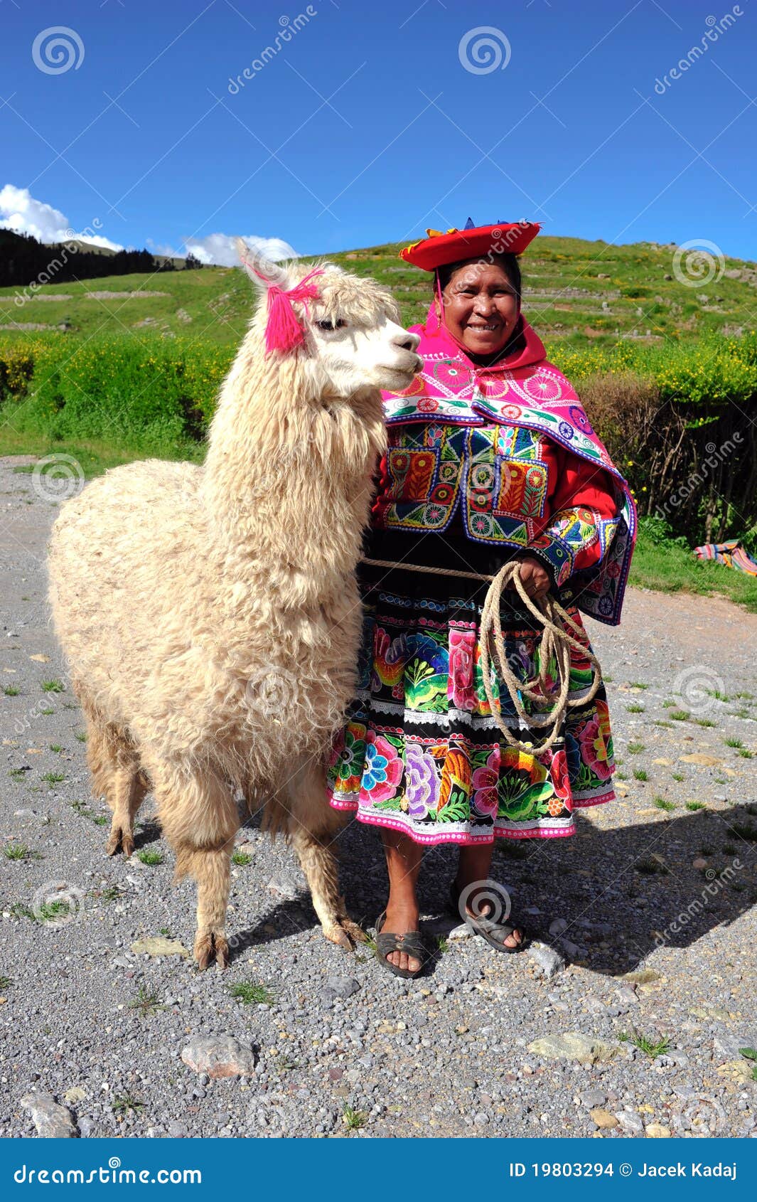 Mujer Peruana En Alineada Tradicional Con El Lama. Imagen de archivo ...