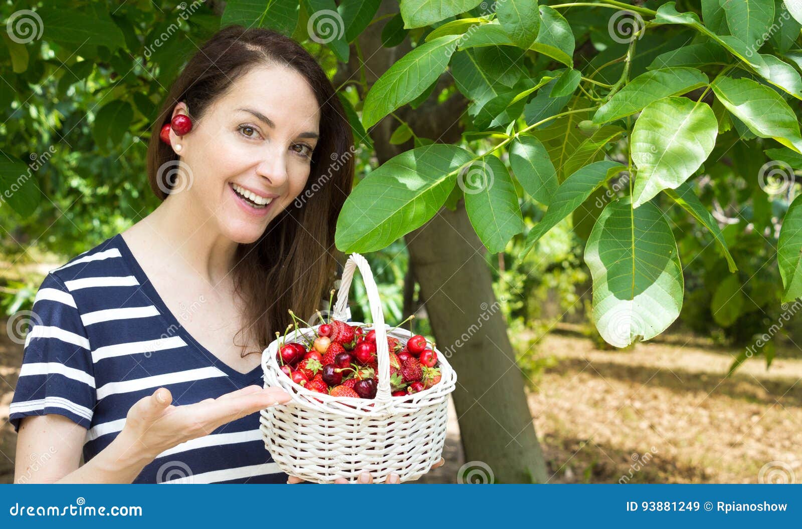 Mujer que recoge cerezas imagen de archivo. Imagen de verano - 93881249