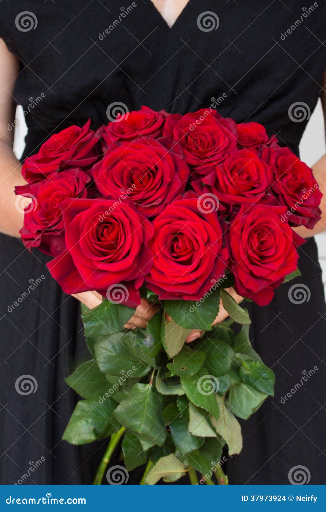 Mujer Que Sostiene Rosas Rojas Foto de archivo - Imagen de mano, floral ...