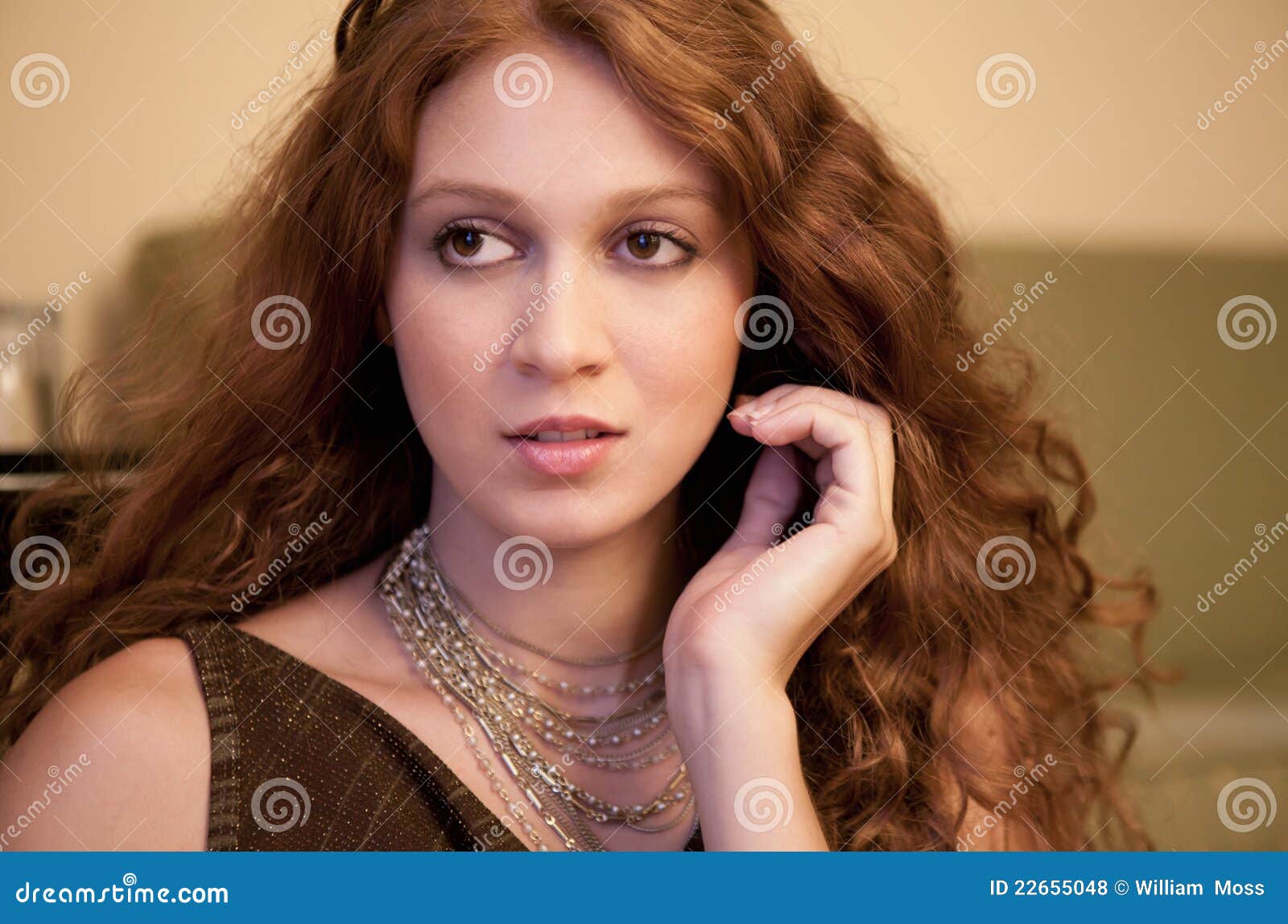 Mujer rusa elegante foto de archivo. Imagen de modelo - 22655048