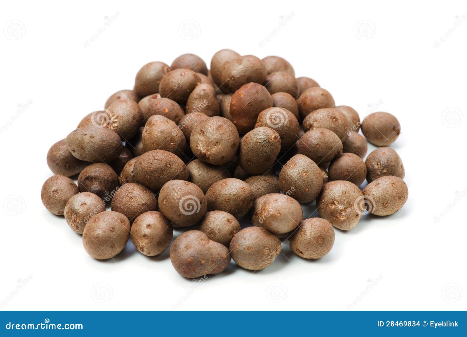 Mukago stock photo. Image of meal, mukago, propagule - 28469834