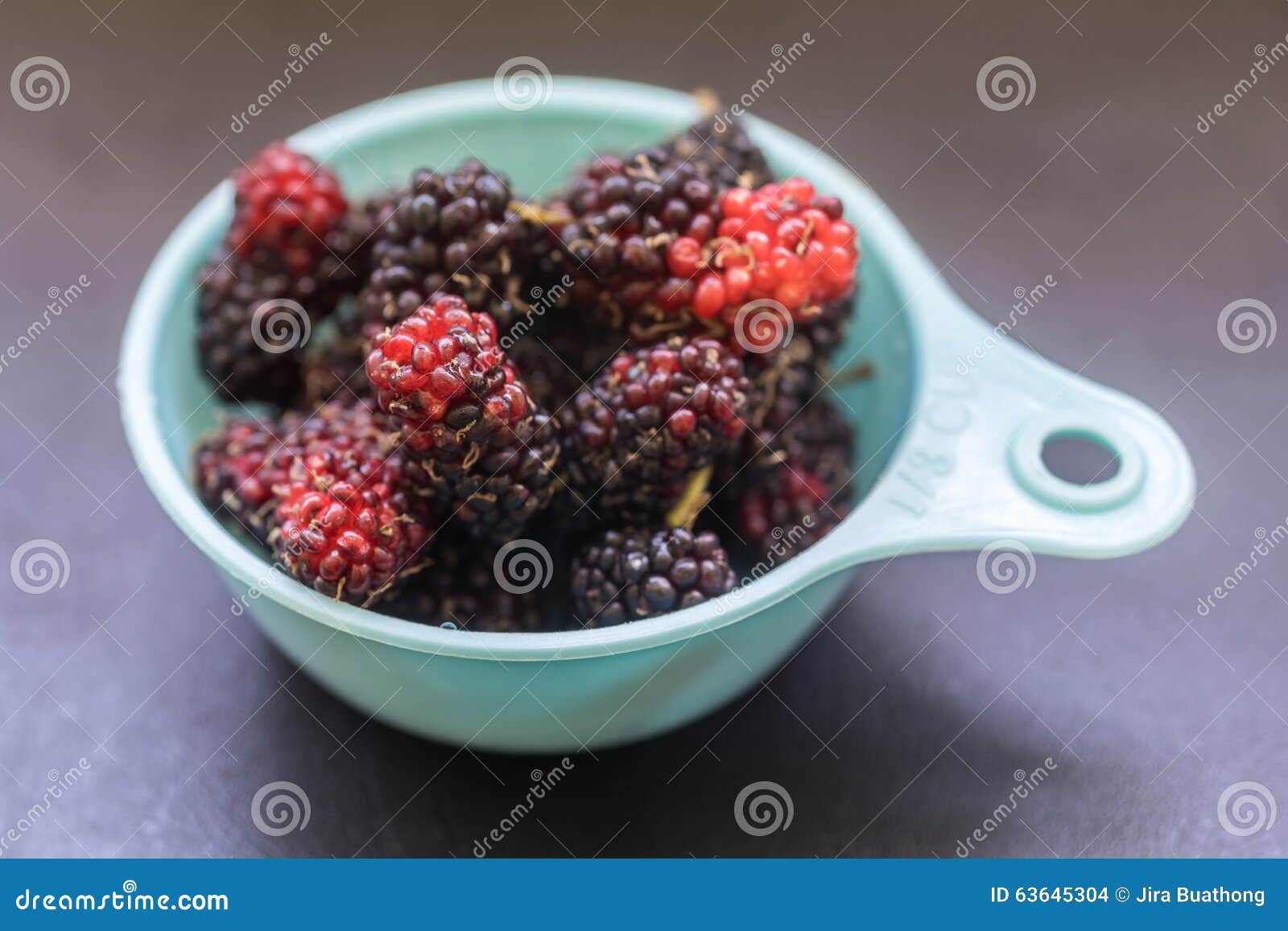 Mulberries stock photo. Image of ingredient, fruit, green - 63645304