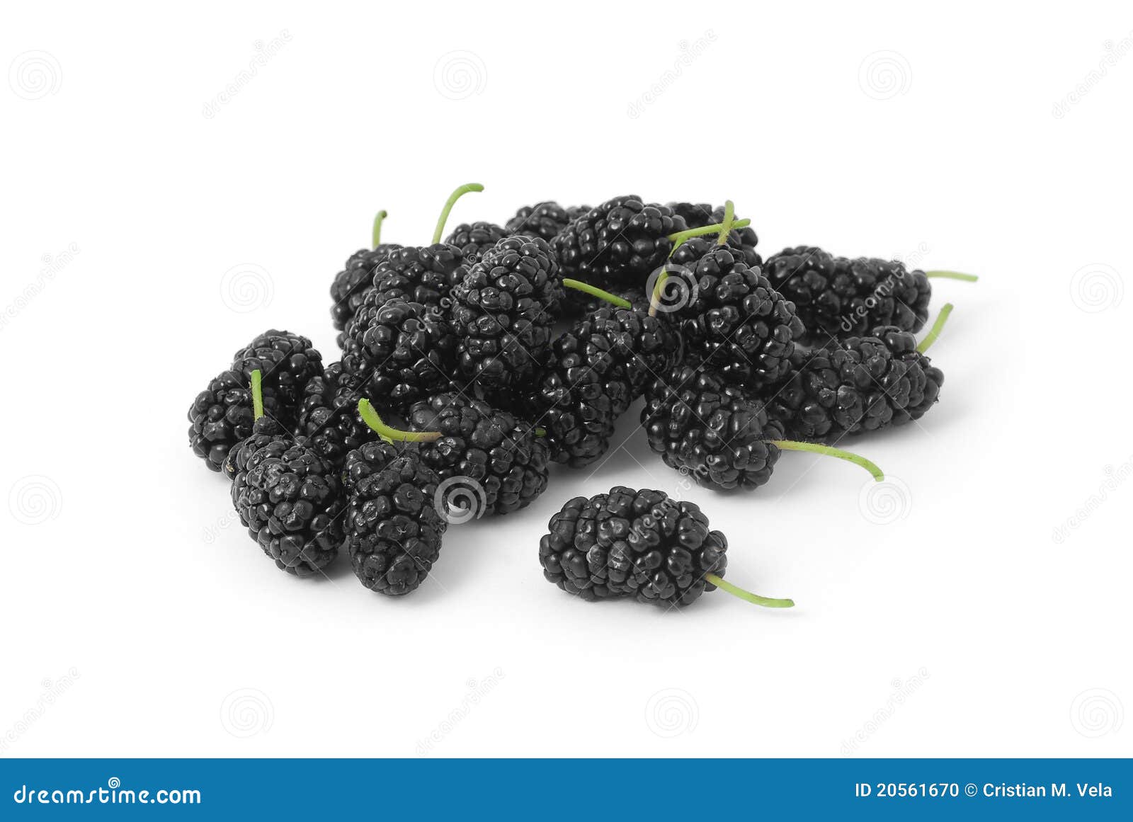 Mulberry stock photo. Image of tasty, white, fruit, delicious - 20561670