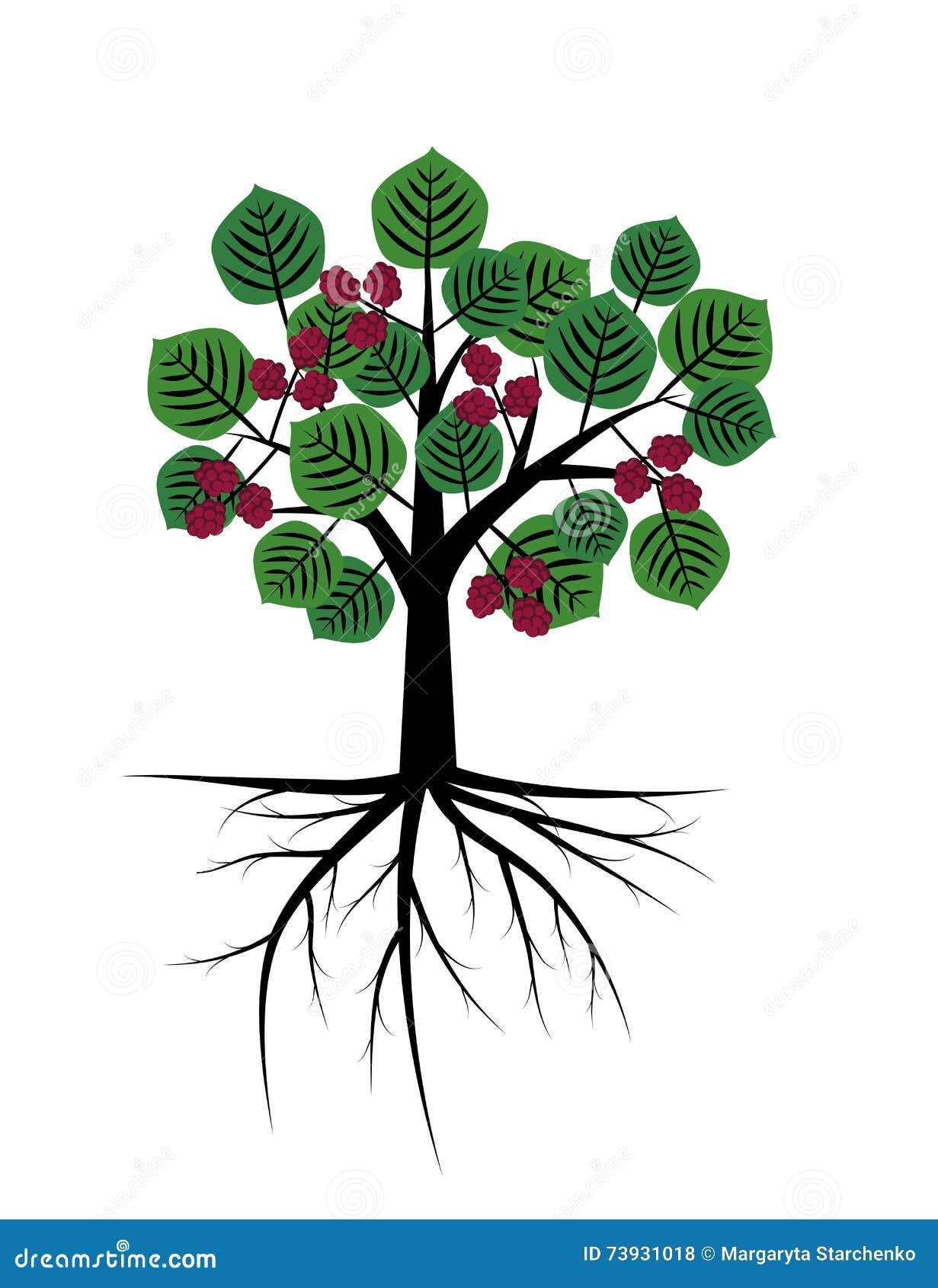 Mulberry abstract tree stock vector. Illustration of card - 73931018