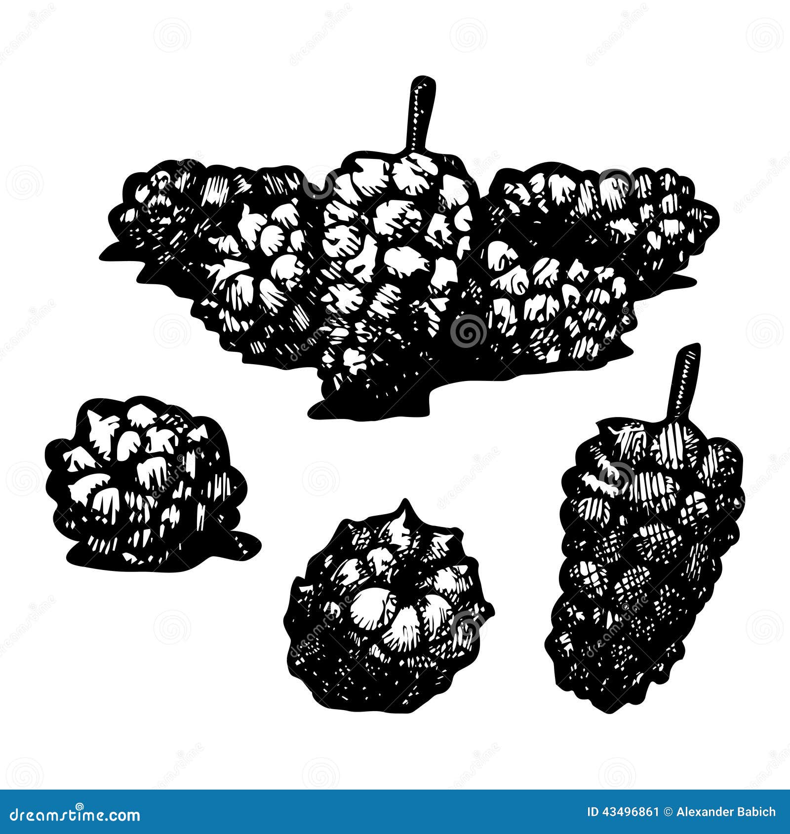 Loganberry Icon Cartoon Vector | CartoonDealer.com #291067279