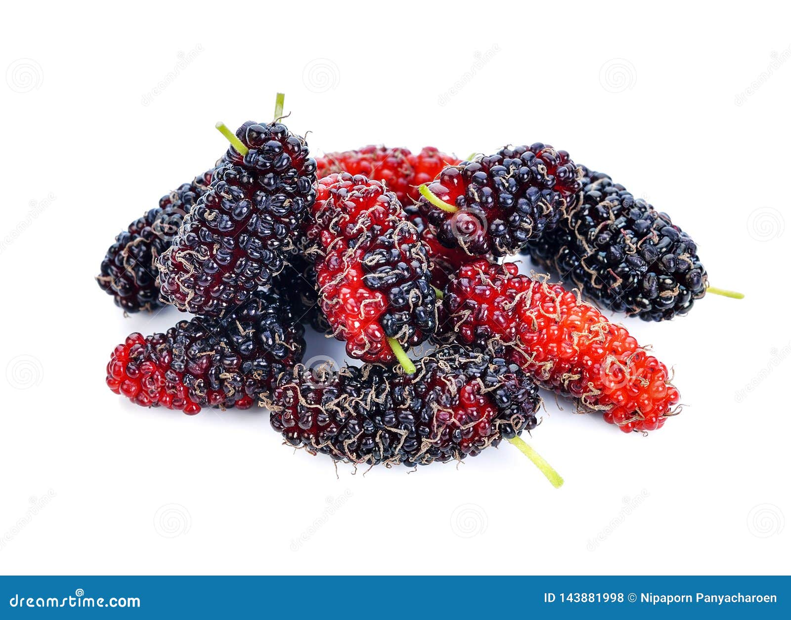 Mulberry isolated on white stock photo. Image of healthy - 143881998