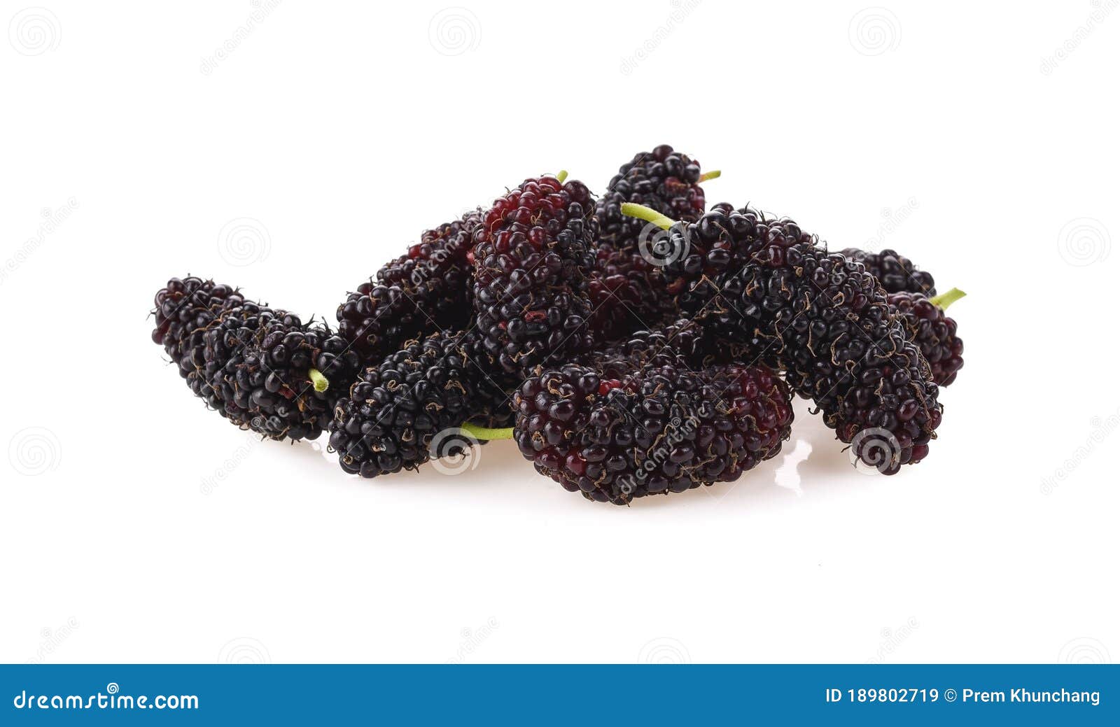 Mulberry Isolated on White Background Stock Image - Image of fresh ...