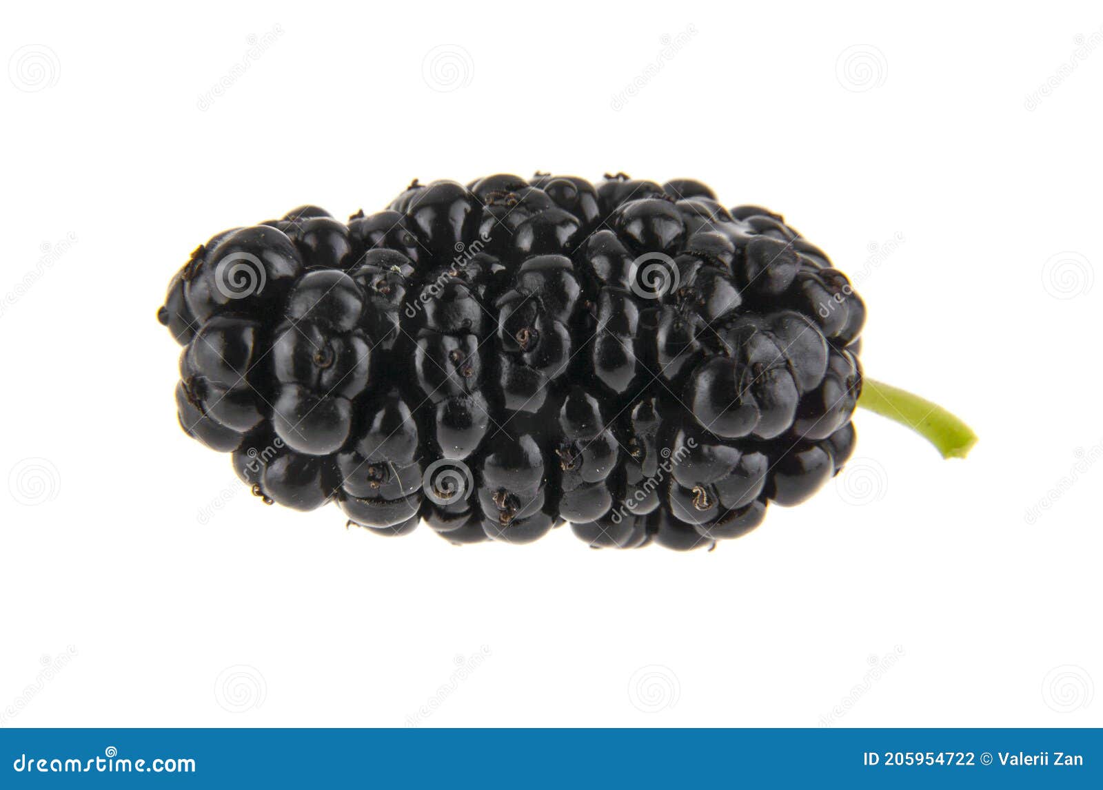 Mulberry Isolated on White Background Stock Photo - Image of background ...