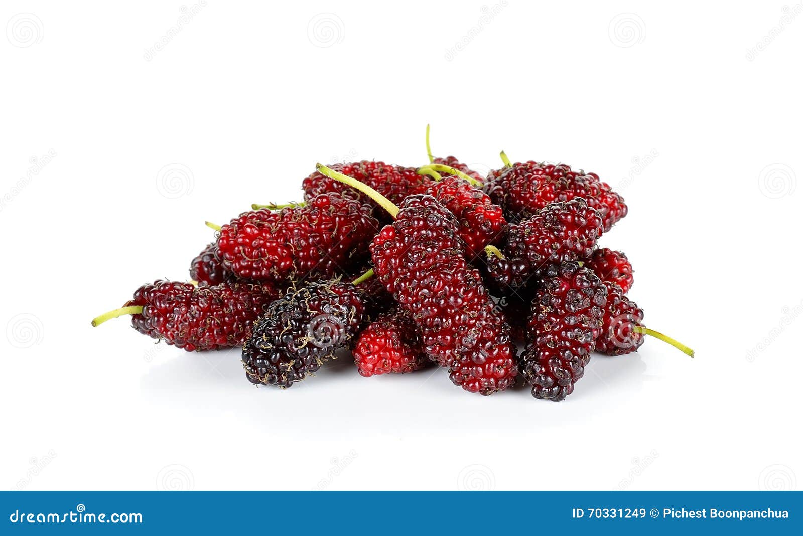 Mulberry Isolated on the White Background Stock Image - Image of seed ...