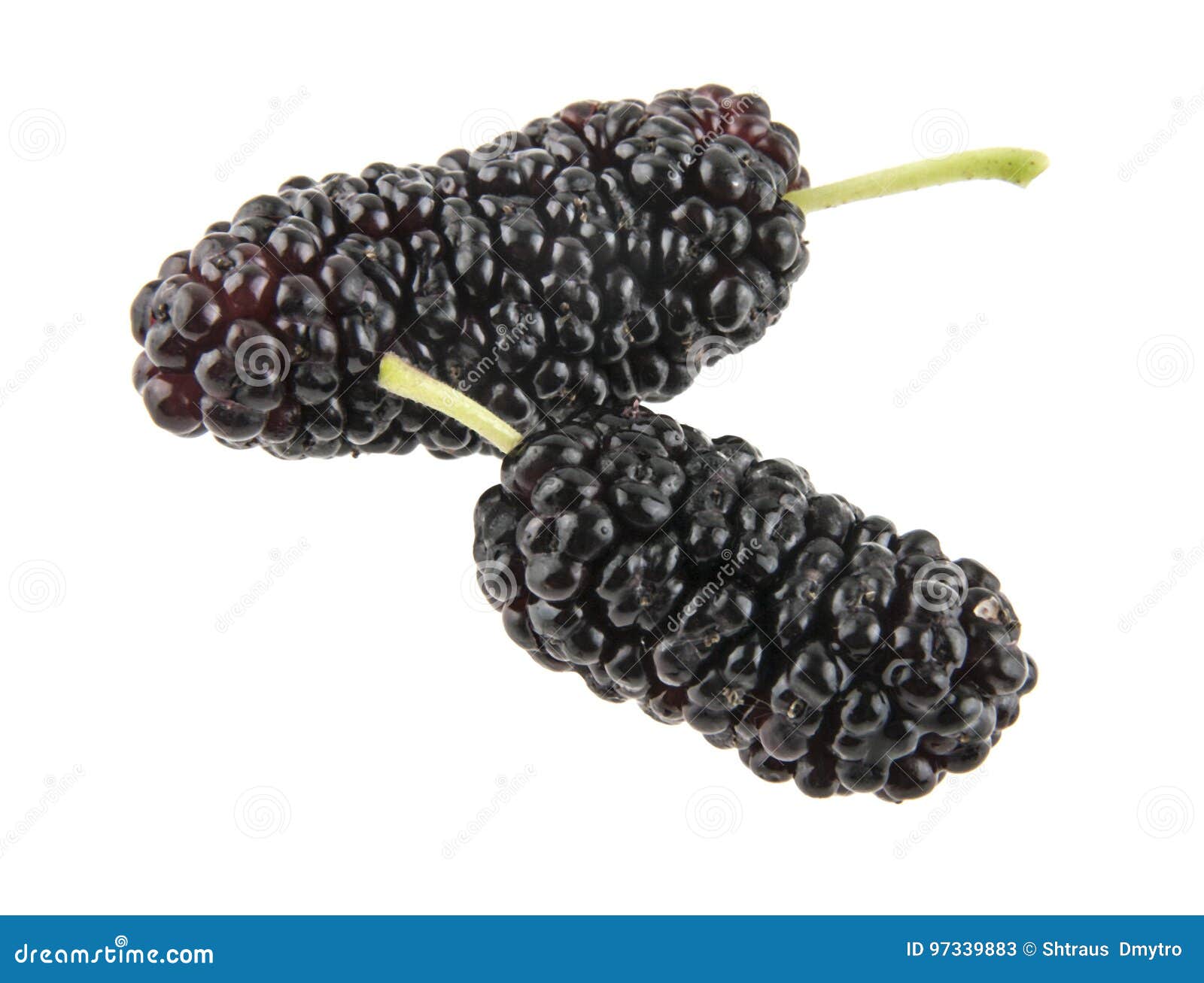 Mulberry isolated on white stock image. Image of pile - 97339883