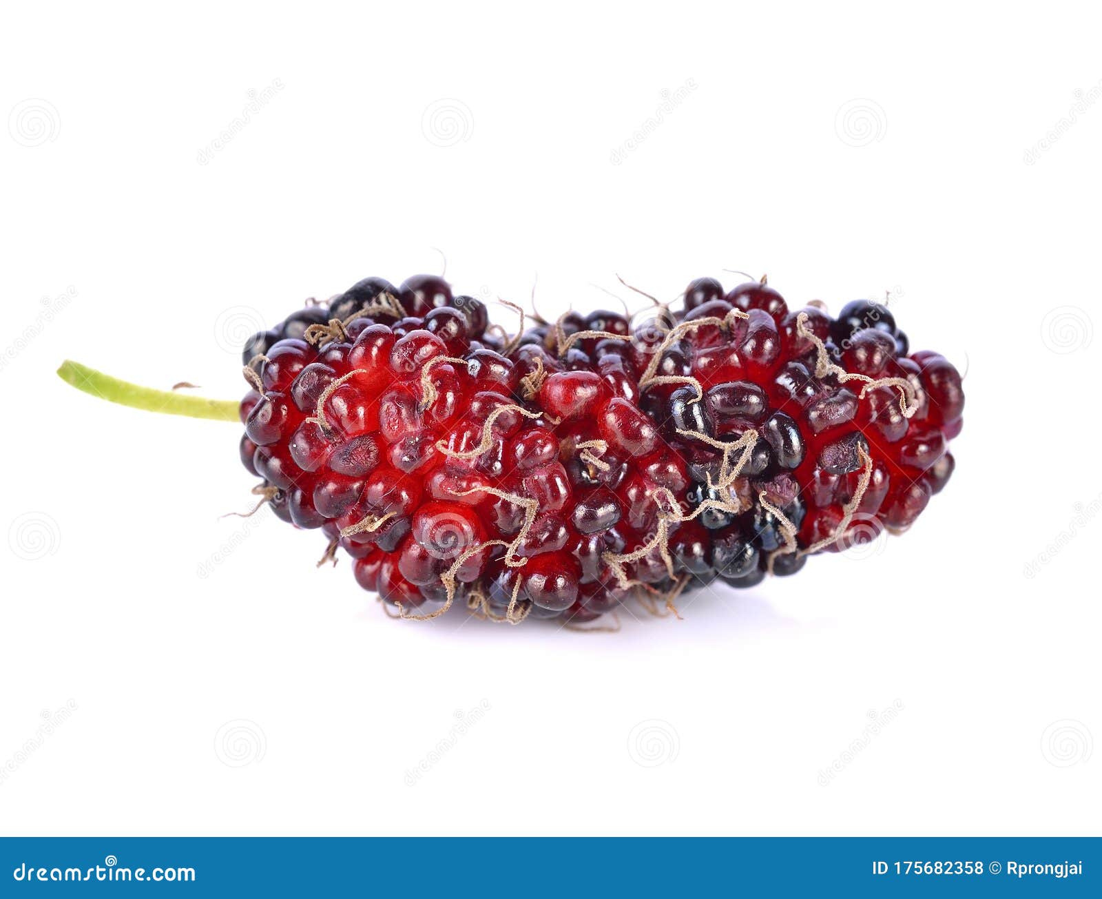 Mulberry Isolated on the White Background Stock Photo - Image of seed ...