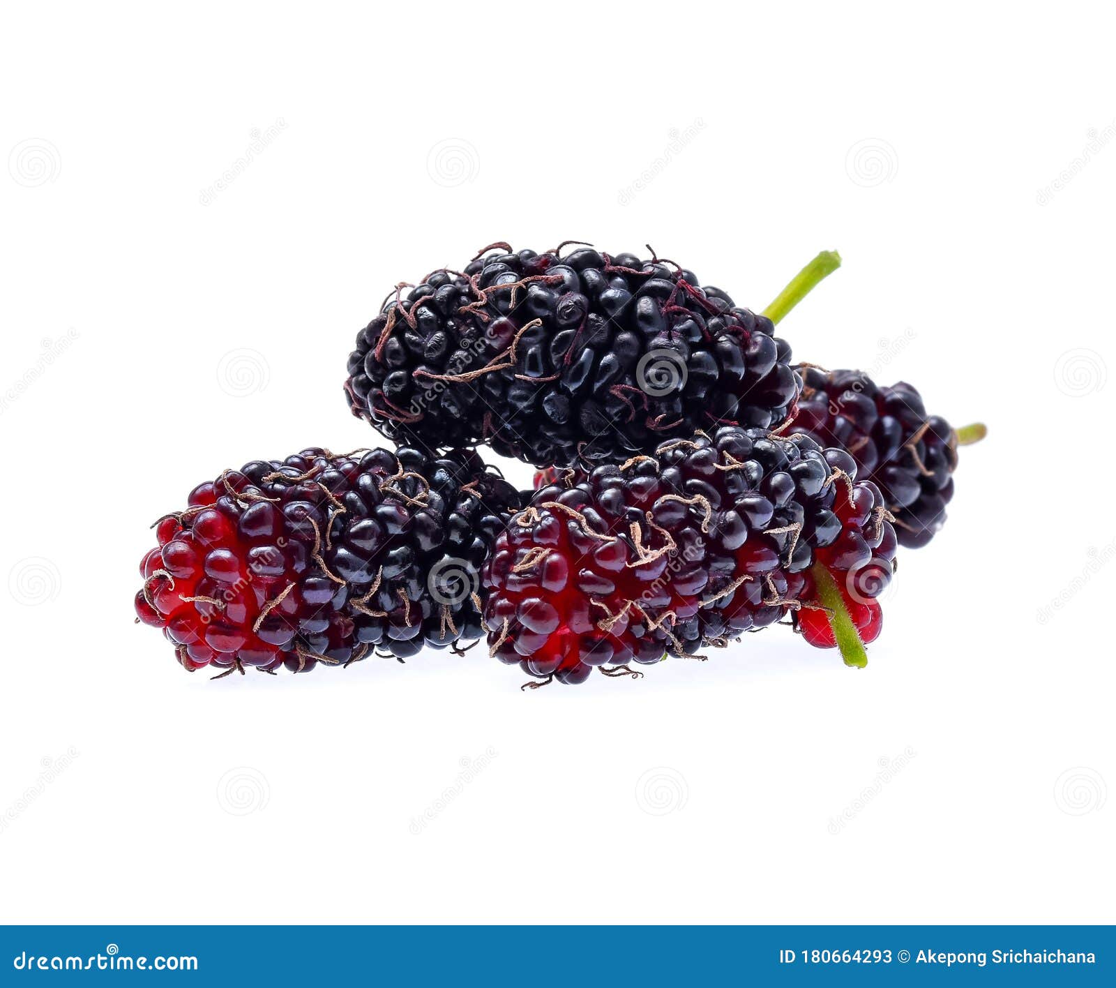 Mulberry Isolated on White Background Stock Image - Image of group ...