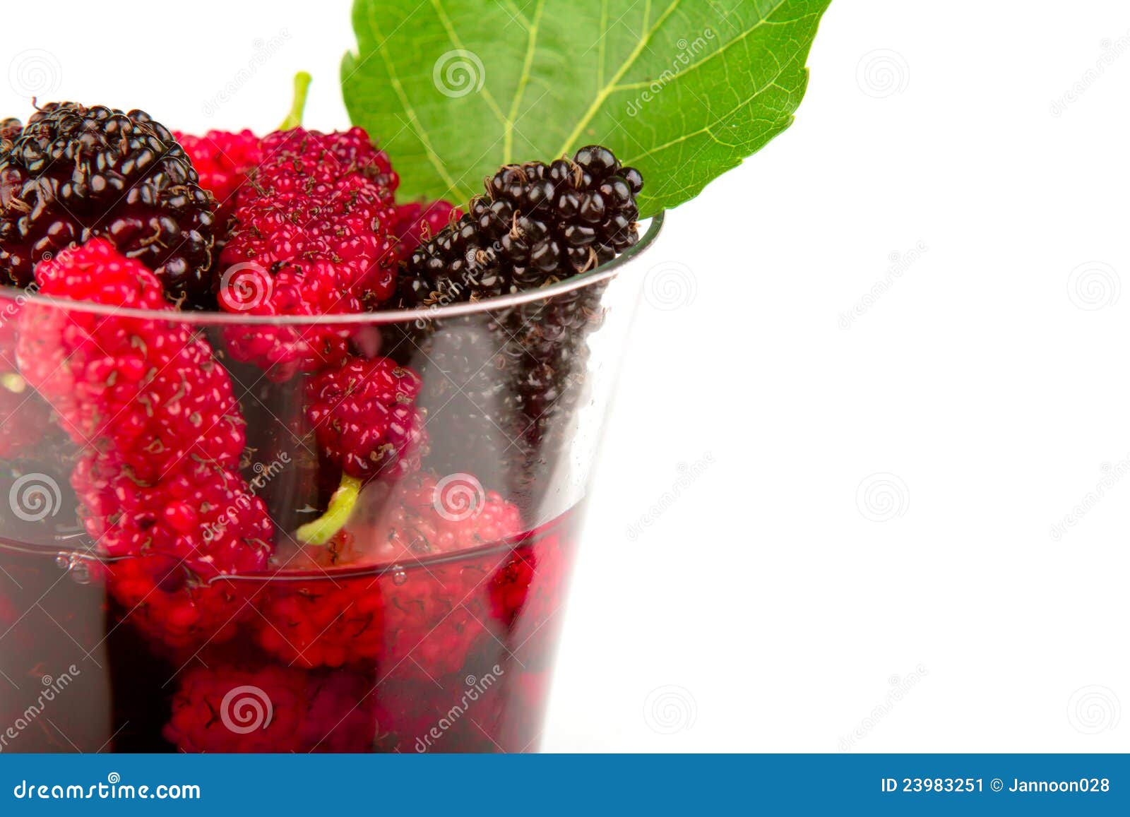 Mulberry juice. stock image. Image of antioxidant, freshness - 23983251
