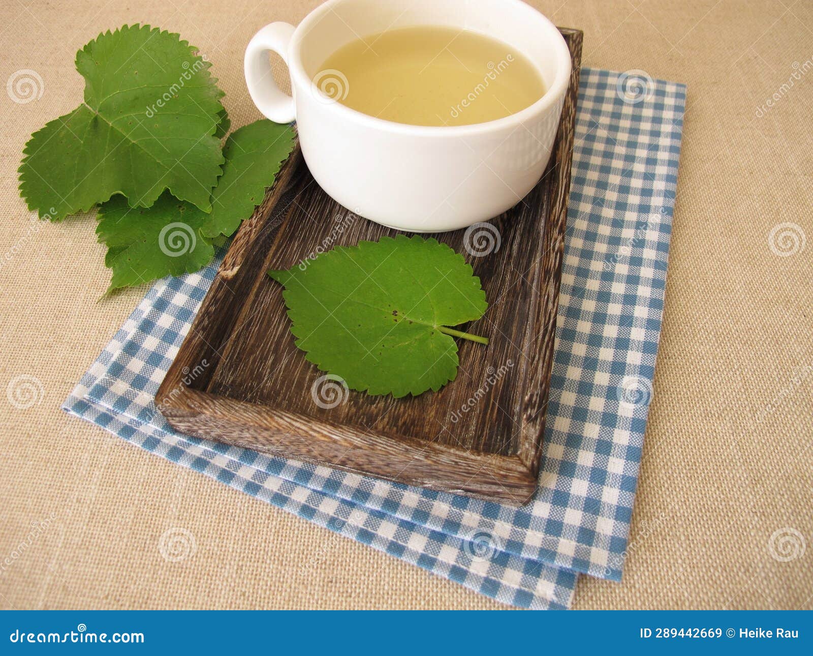 Mulberry leaf tea stock image. Image of mulberry, ppongnip - 289442669